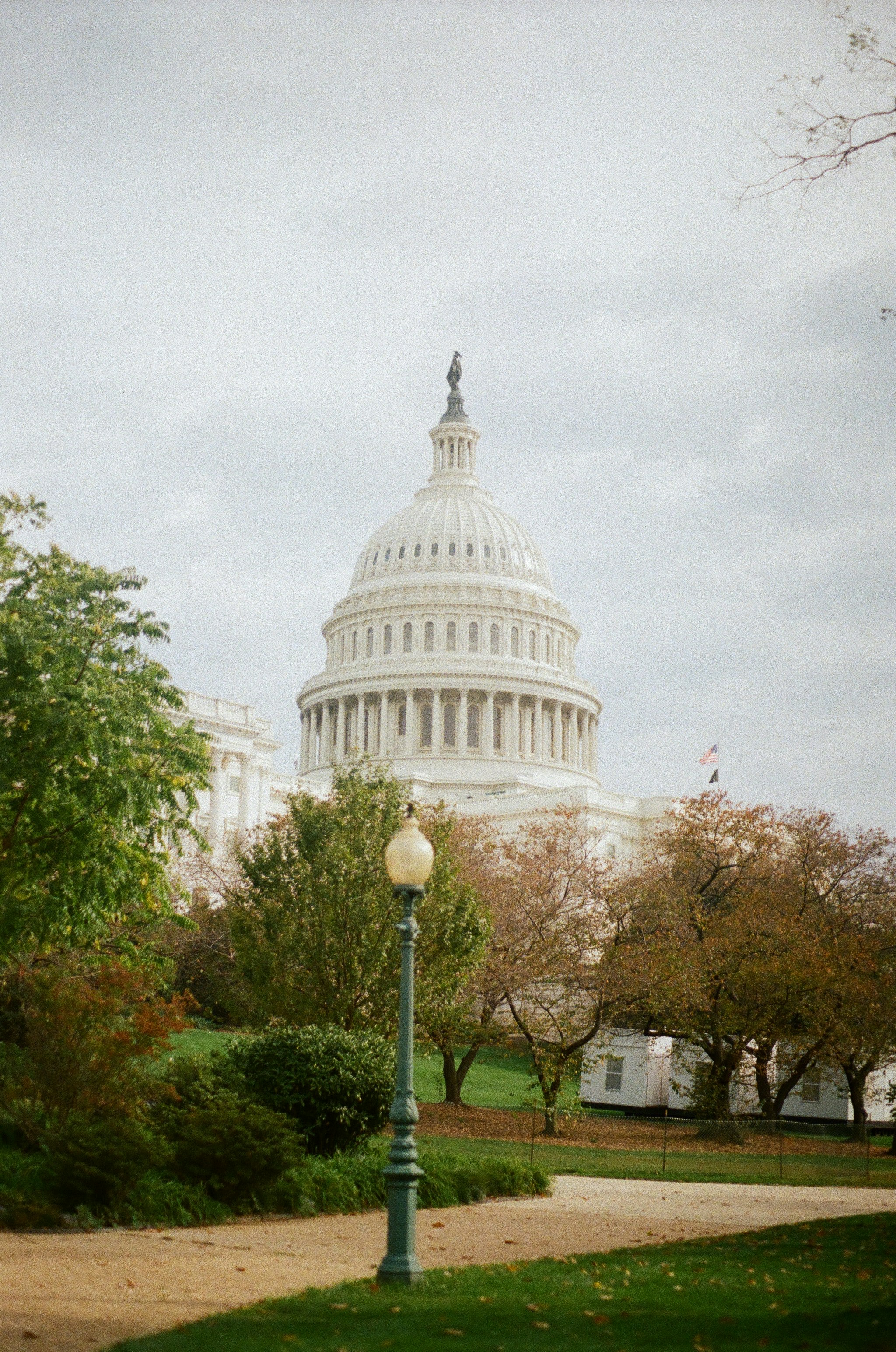 Capitol in Bloom: A Gentle panorama of the Dome under Soft Skies