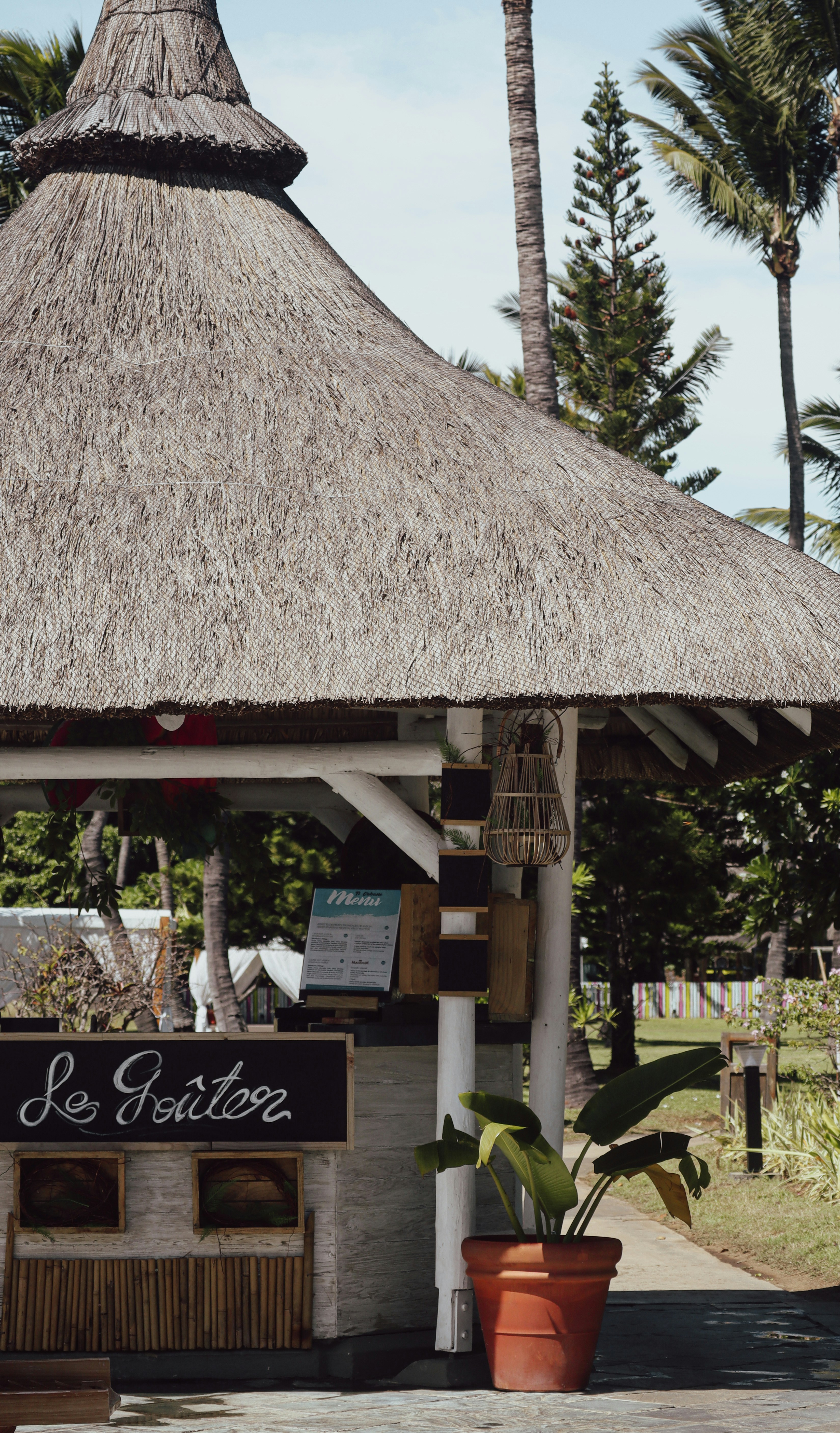 Thatched Shelter by the Palm-Rimmed Path