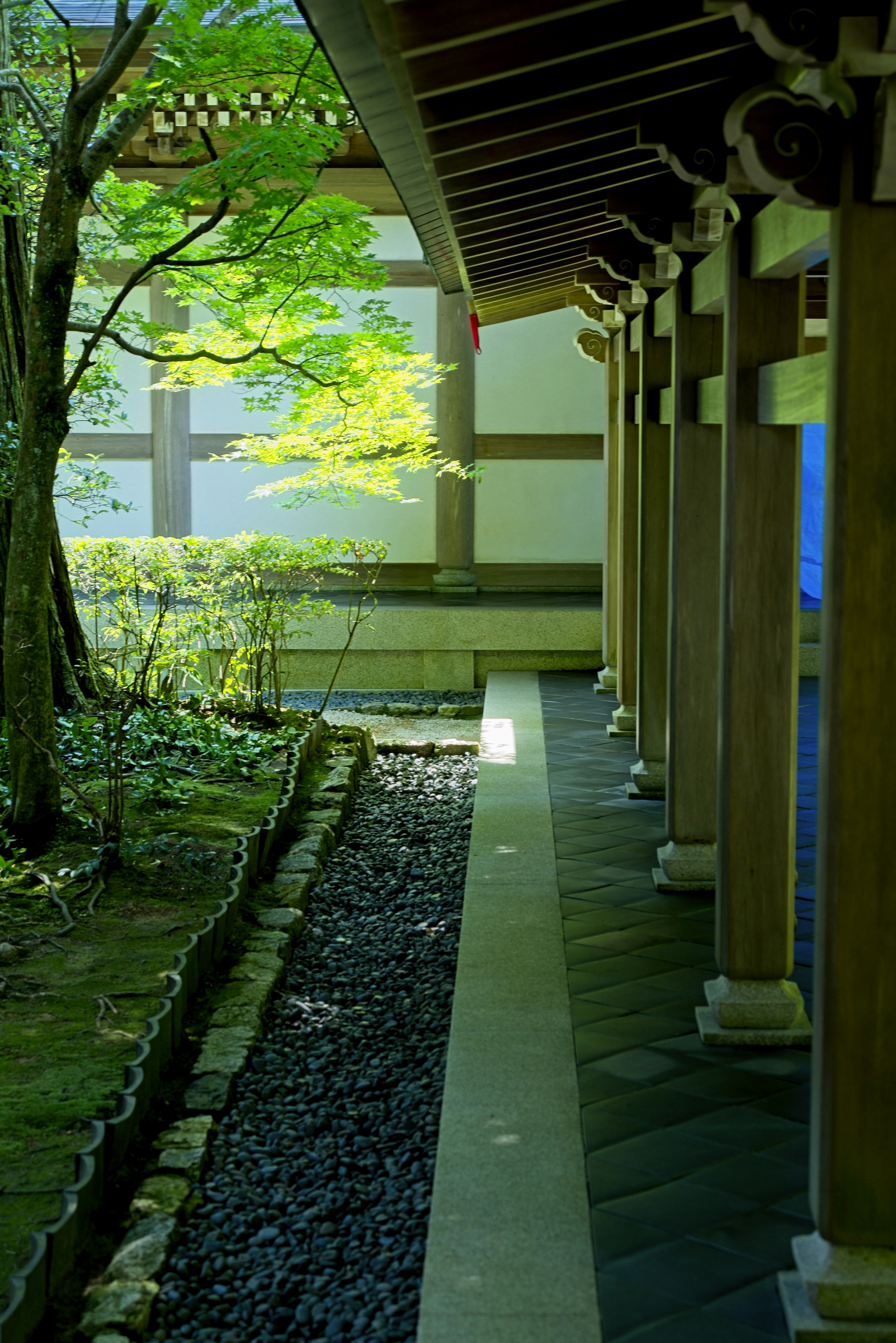 A shaded wooden corridor lined with ornate carved brackets stretches alongside a narrow gravel garden path near Ryōan-ji in Kyoto, dappled sunlight filtering through a maple tree onto the stone-edged channel below on a hot, hazy summer afternoon in July. Rows of weathered wooden pillars support the covered walkway, leading the eye deeper into the temple grounds. Moss-covered earth and low greenery border the gravel bed to the left, creating a serene, layered composition. This tranquil corridor captures the refined architectural rhythm found throughout Kyoto's historic Zen temple complexes.