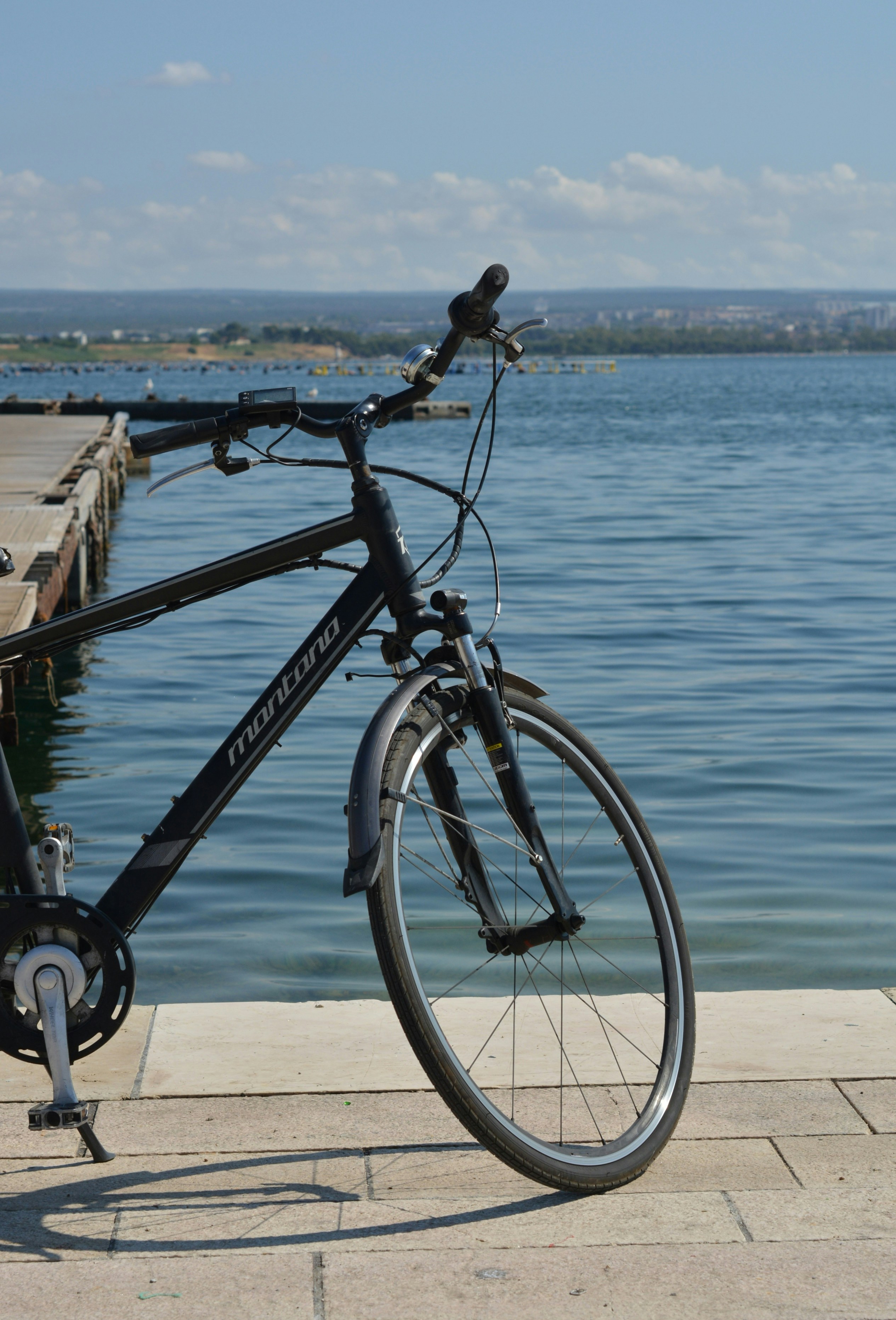 Bike by the Lake: A Quiet Portrait of Urban Calm