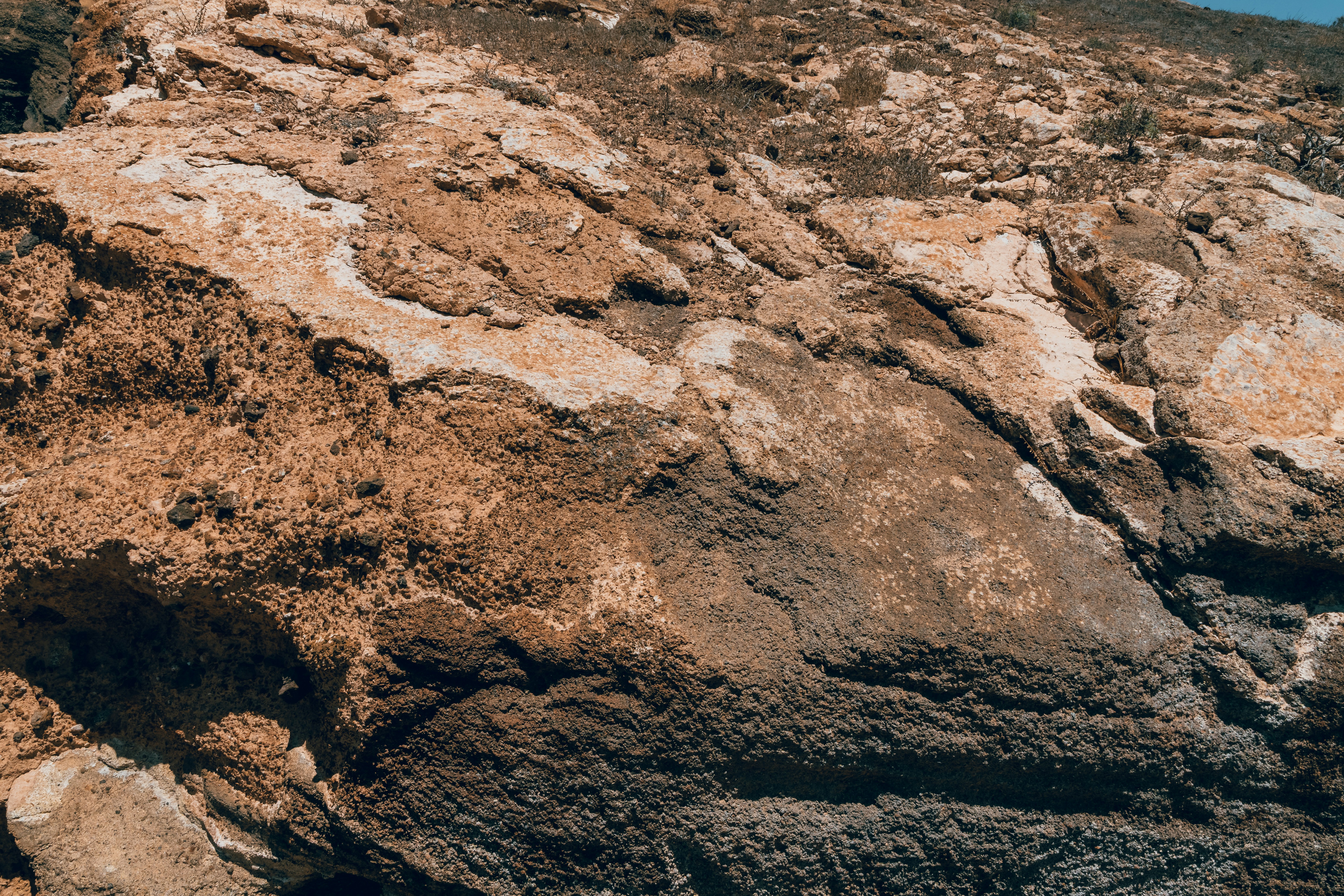 Voice of the Tidal Stone: A Close-Up on Weathered Rock Interfaces