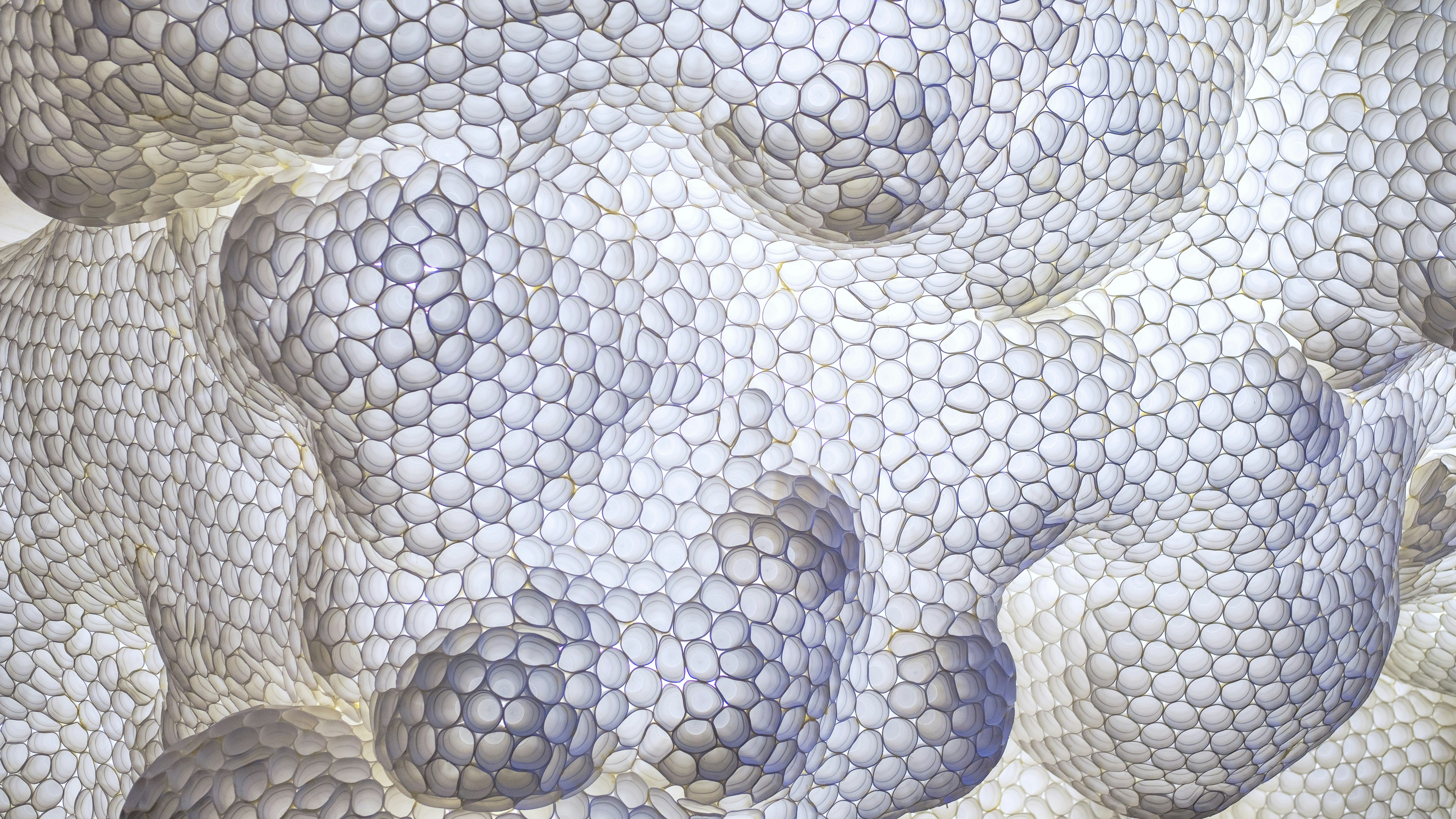 Hexagonal Skin: Close-Up of Textured Bubbles Across Light and Shadow