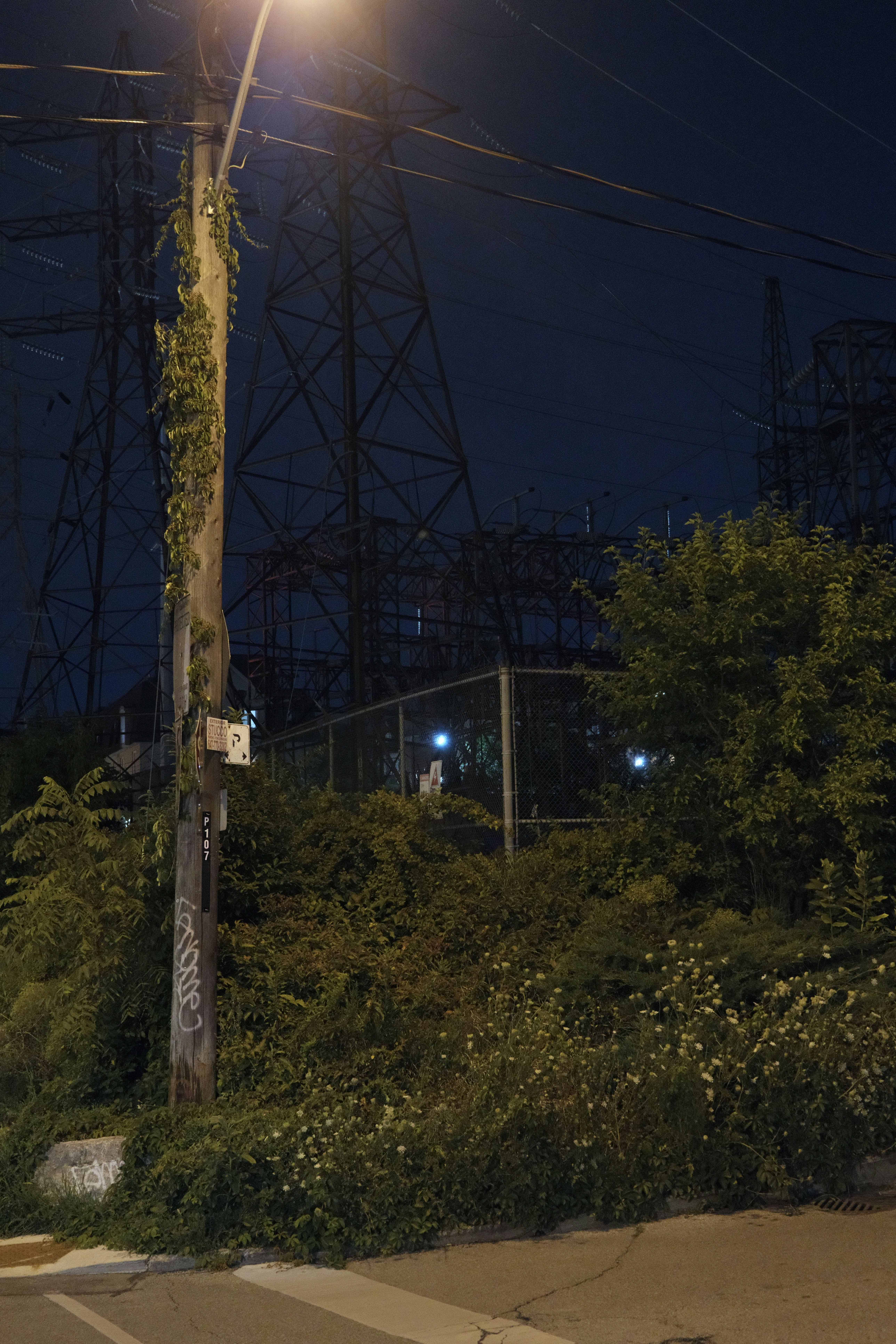 Night in the Utility Grove: Luminous Towers and Overgrowth
