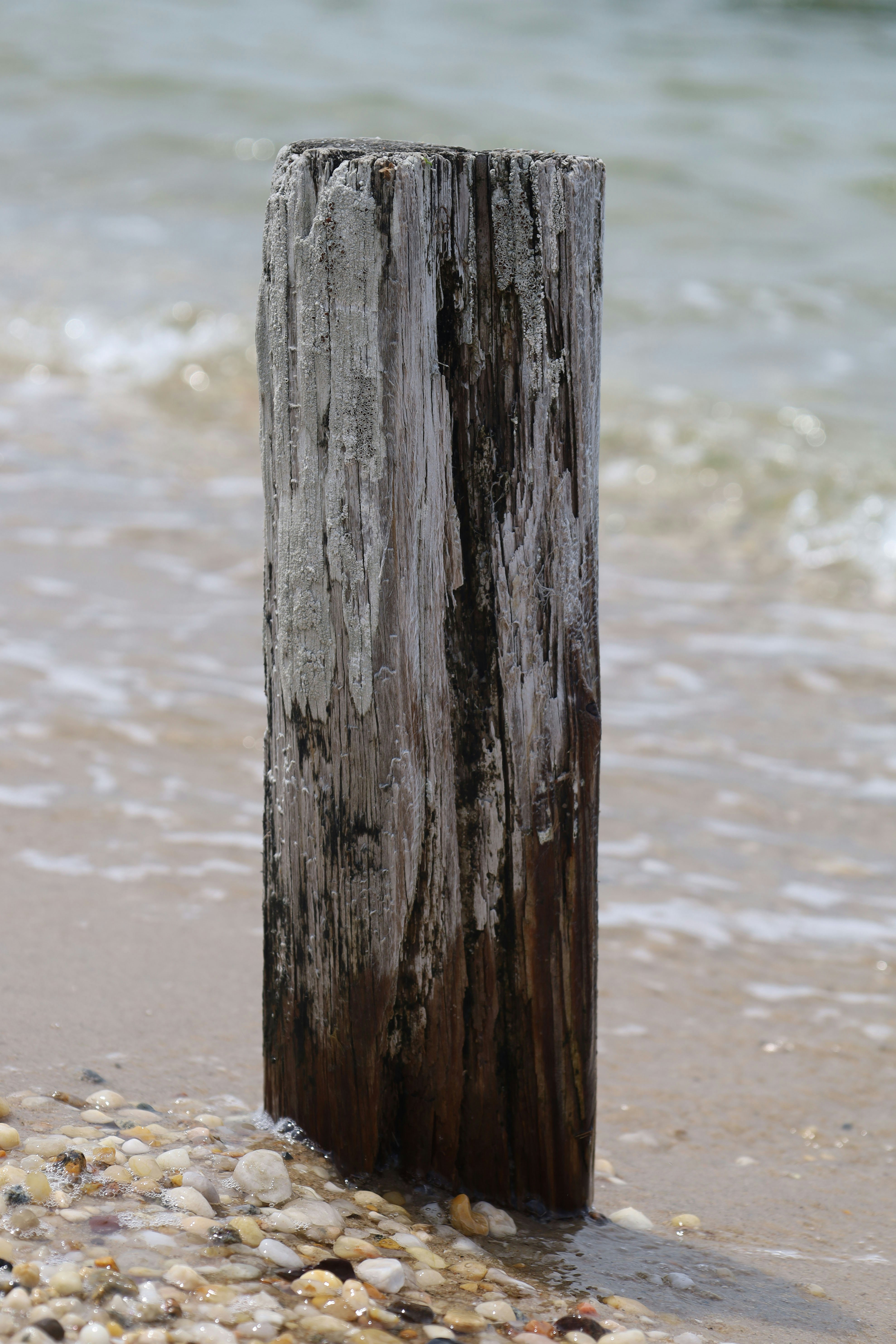 Weathered Post Standing at the Edge of Tide