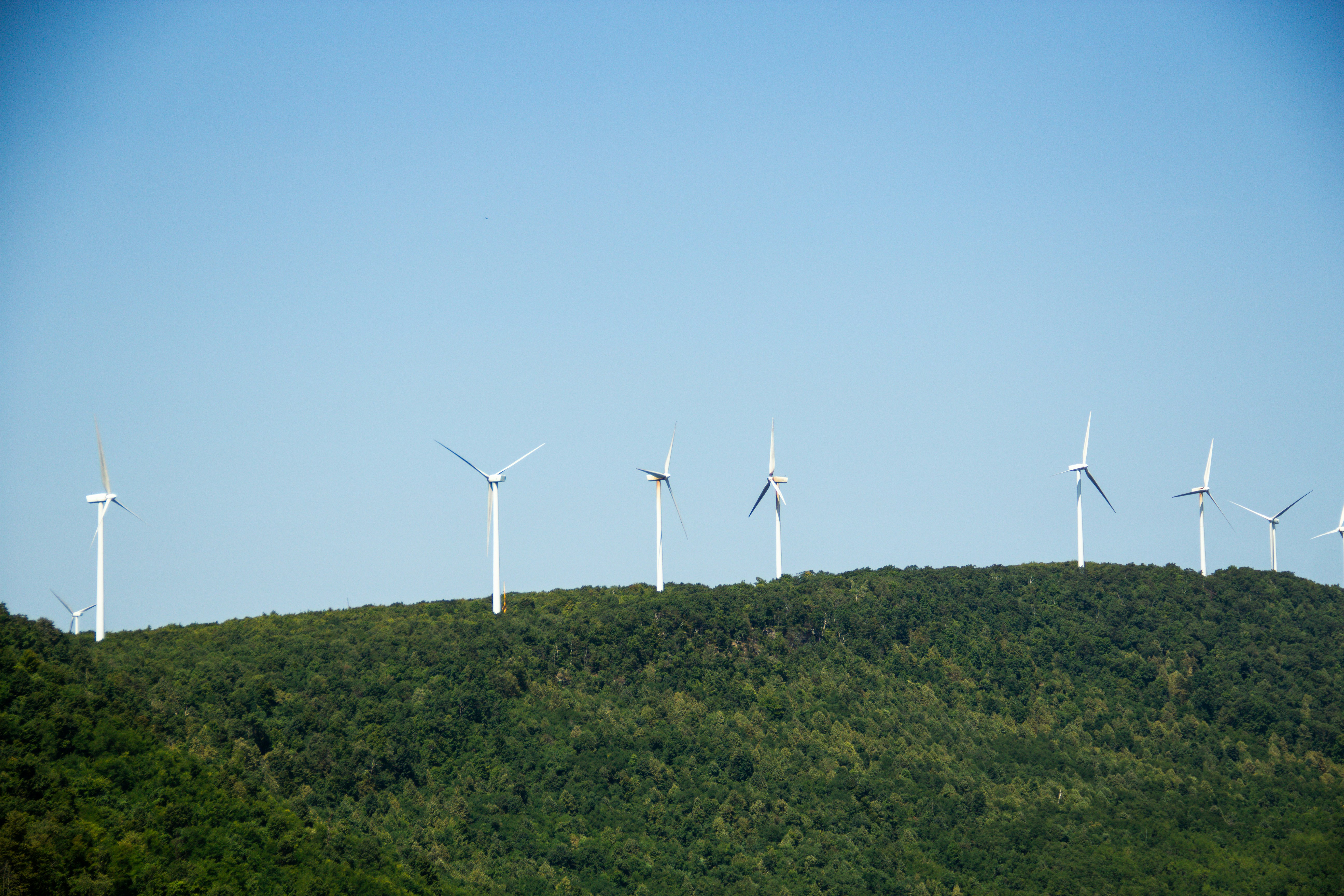 Windward Ridge: Row of Turbines Stretched Across the Hill