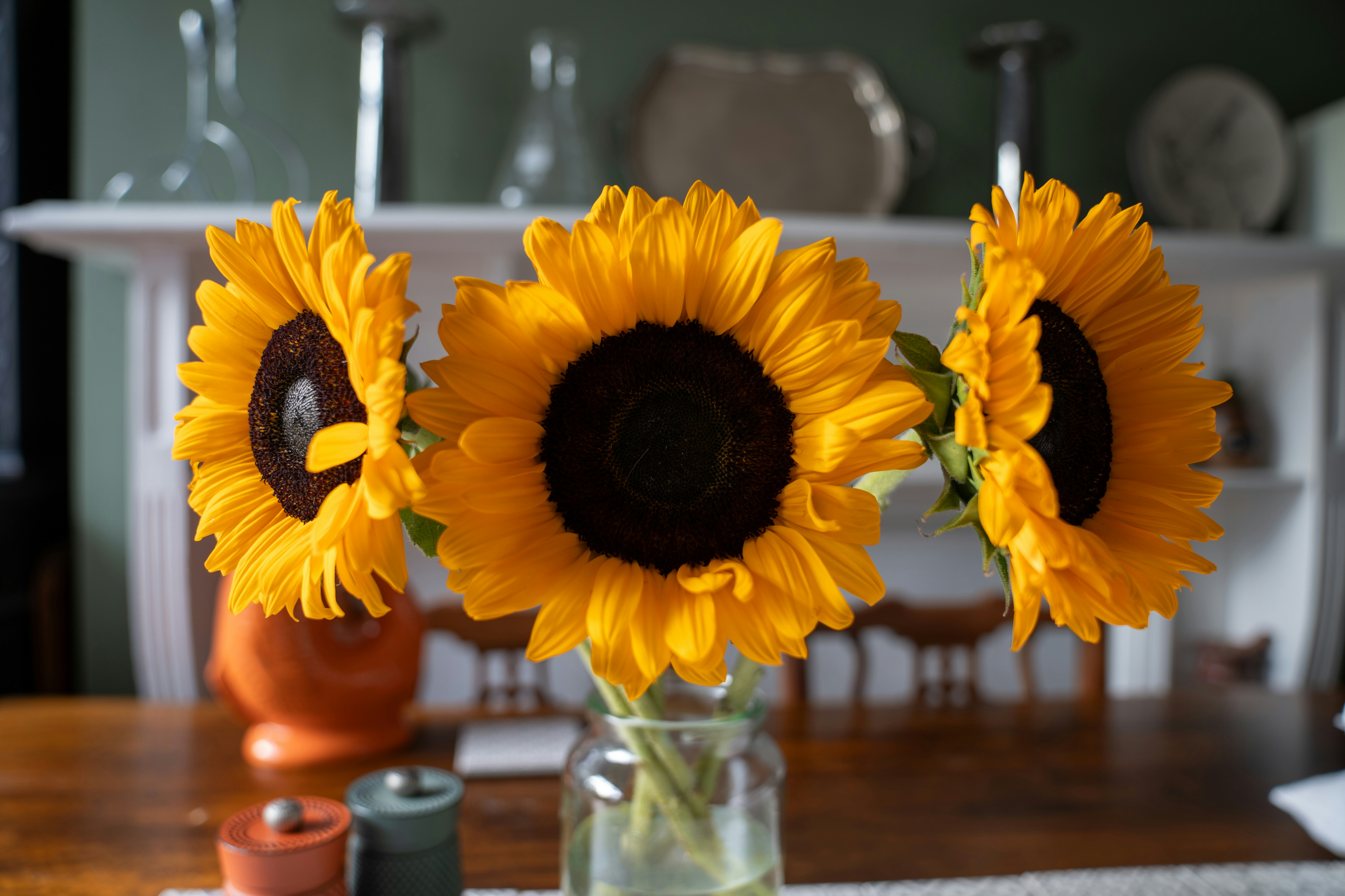 Three Sunflowers Anchored in a Glass Vase