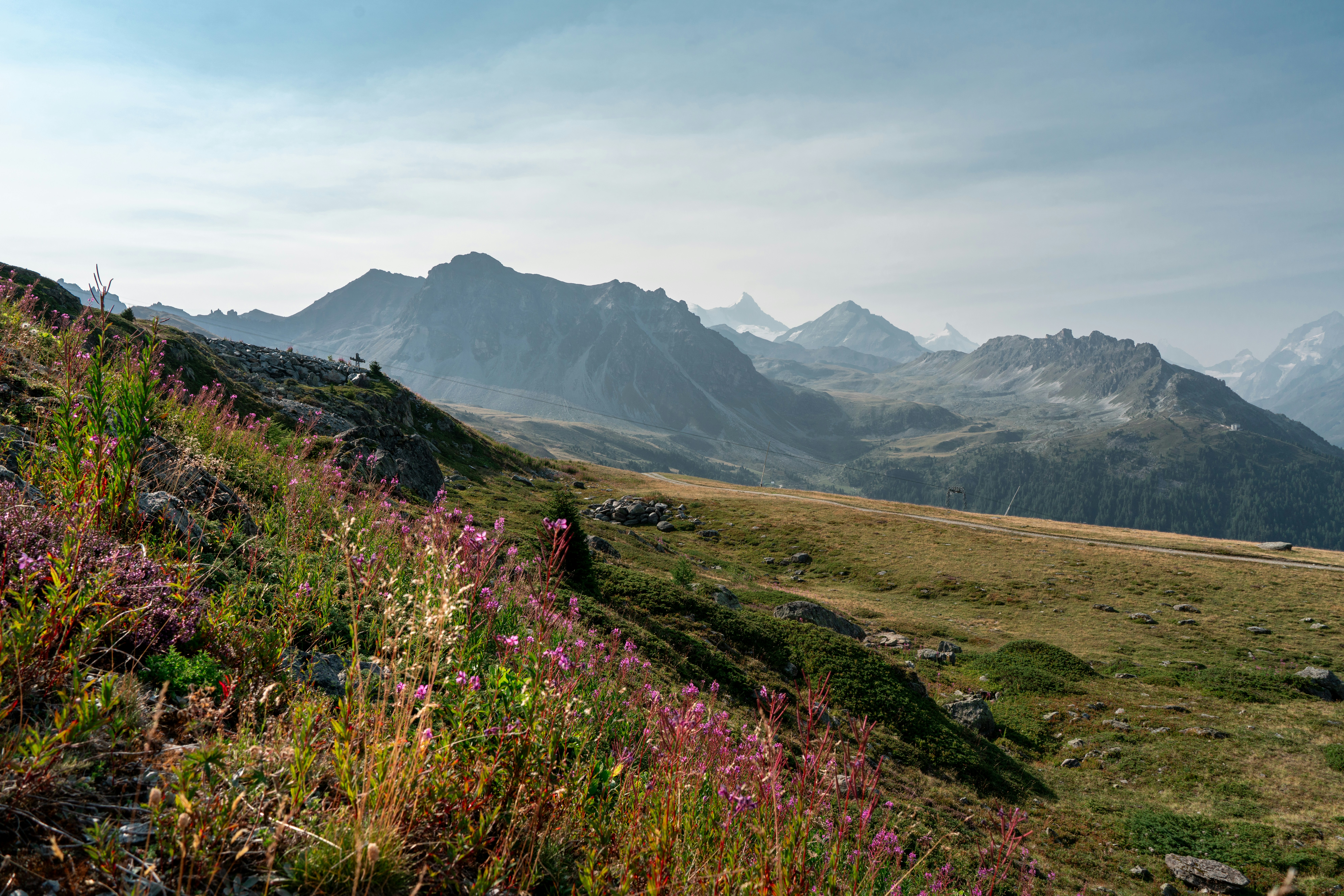 Alpine Meadow Under a Gentle Blue Dome