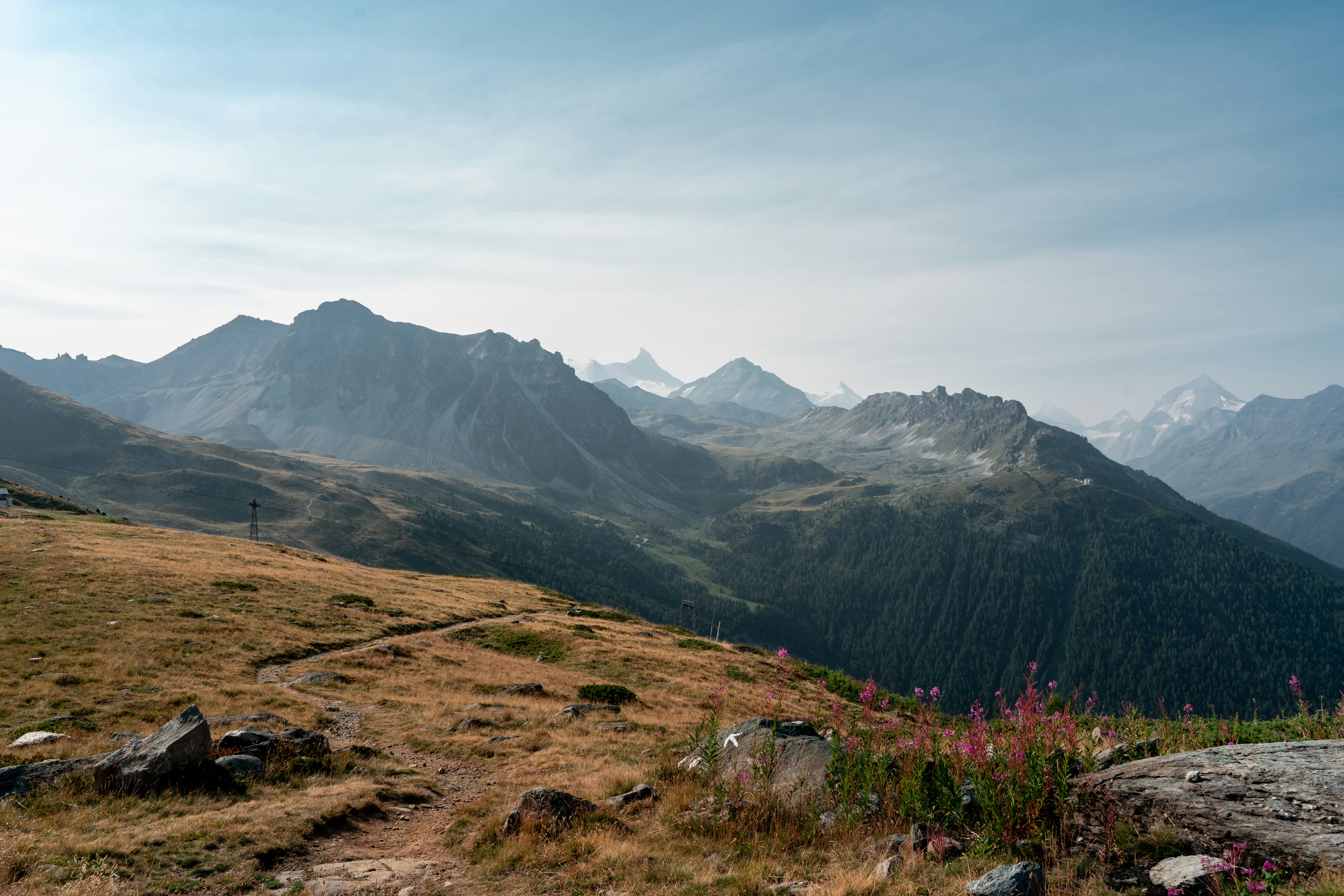 Highland Crest: A Quiet Sweep of Mountains and Meadow