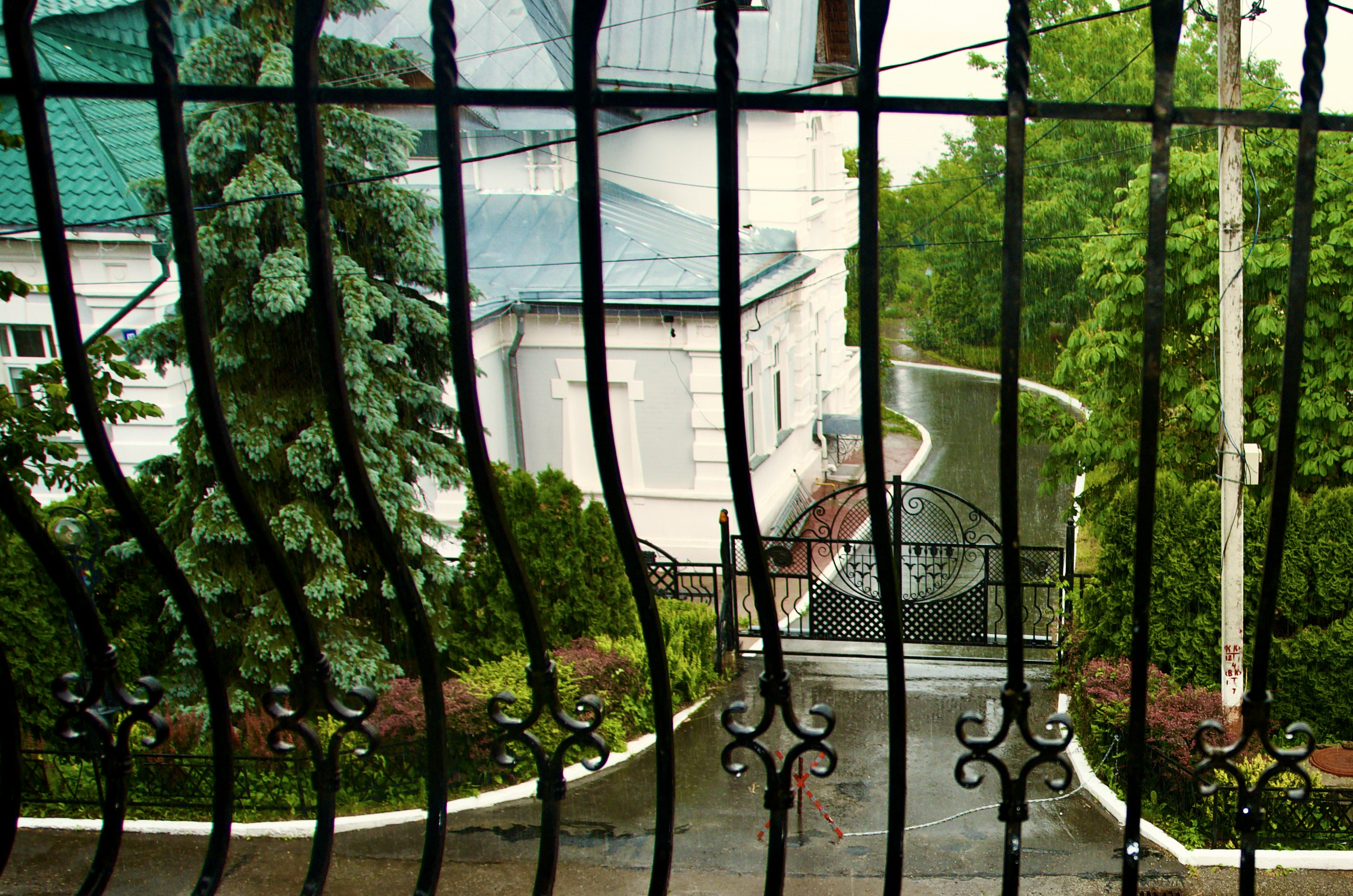 Wrought-iron Veil Over a Quiet Mansion Path