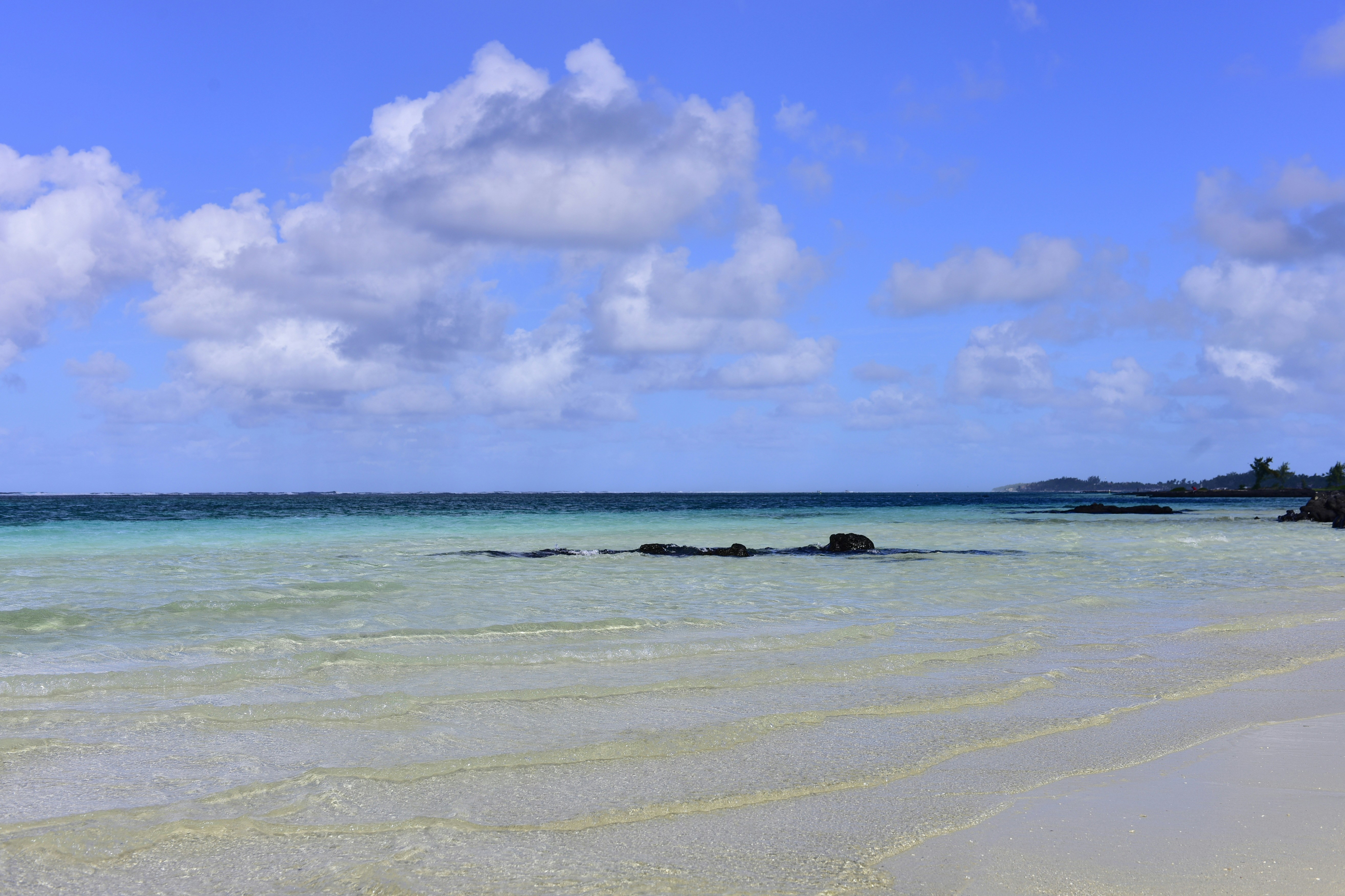 Sunlit Coral Reach: A Quiet Shoreline against a Luminous Sky