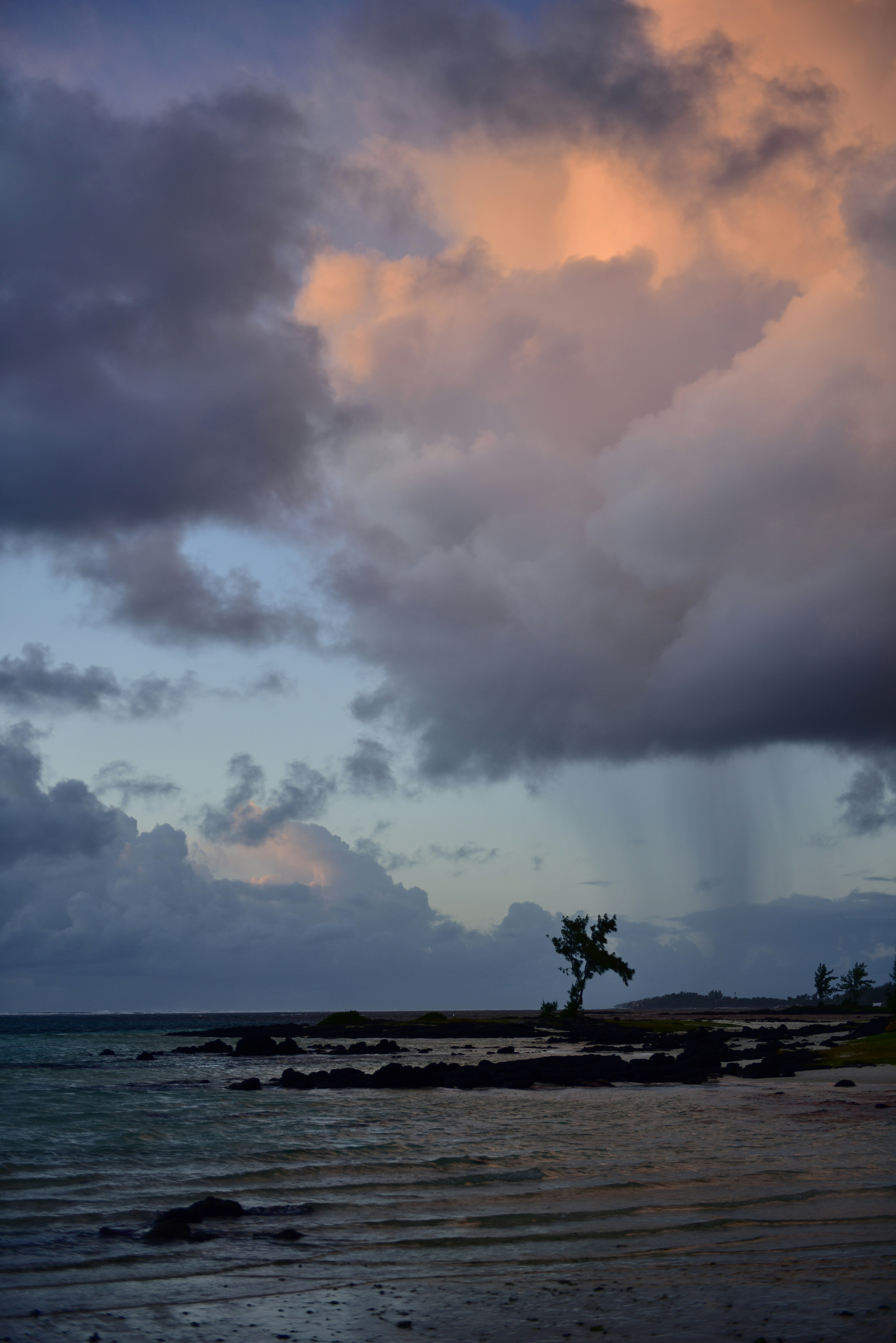 Isolated Tree on the Horizon under Stormy Skies