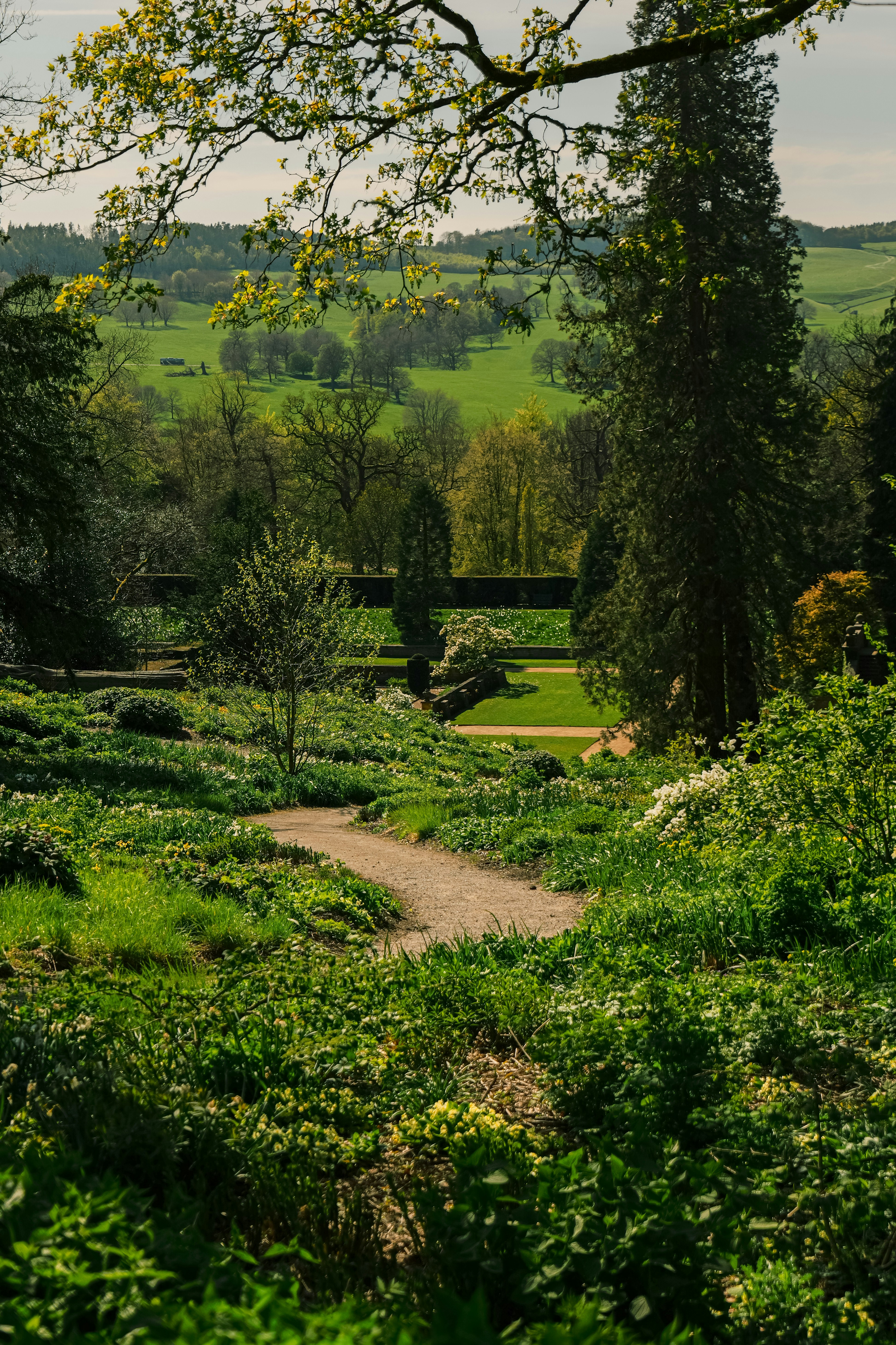 Verdant Garden Path Framed by Overhanging Branches