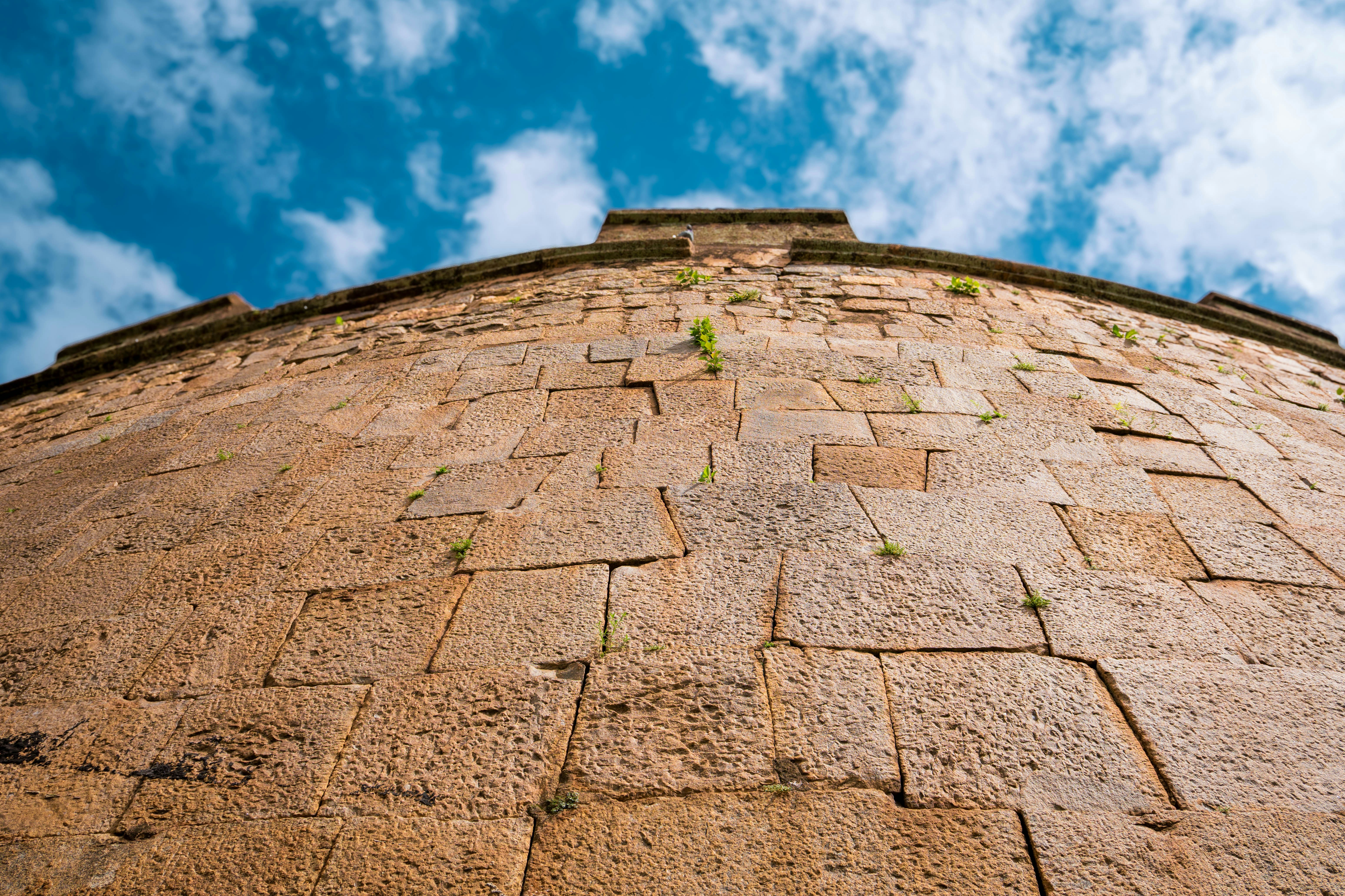 Rusted brickwork rises toward a bright blue sky, captured from ground level to emphasize texture and verticality; the wall shows stone blocks with sparse vegetation, suggesting age and endurance.