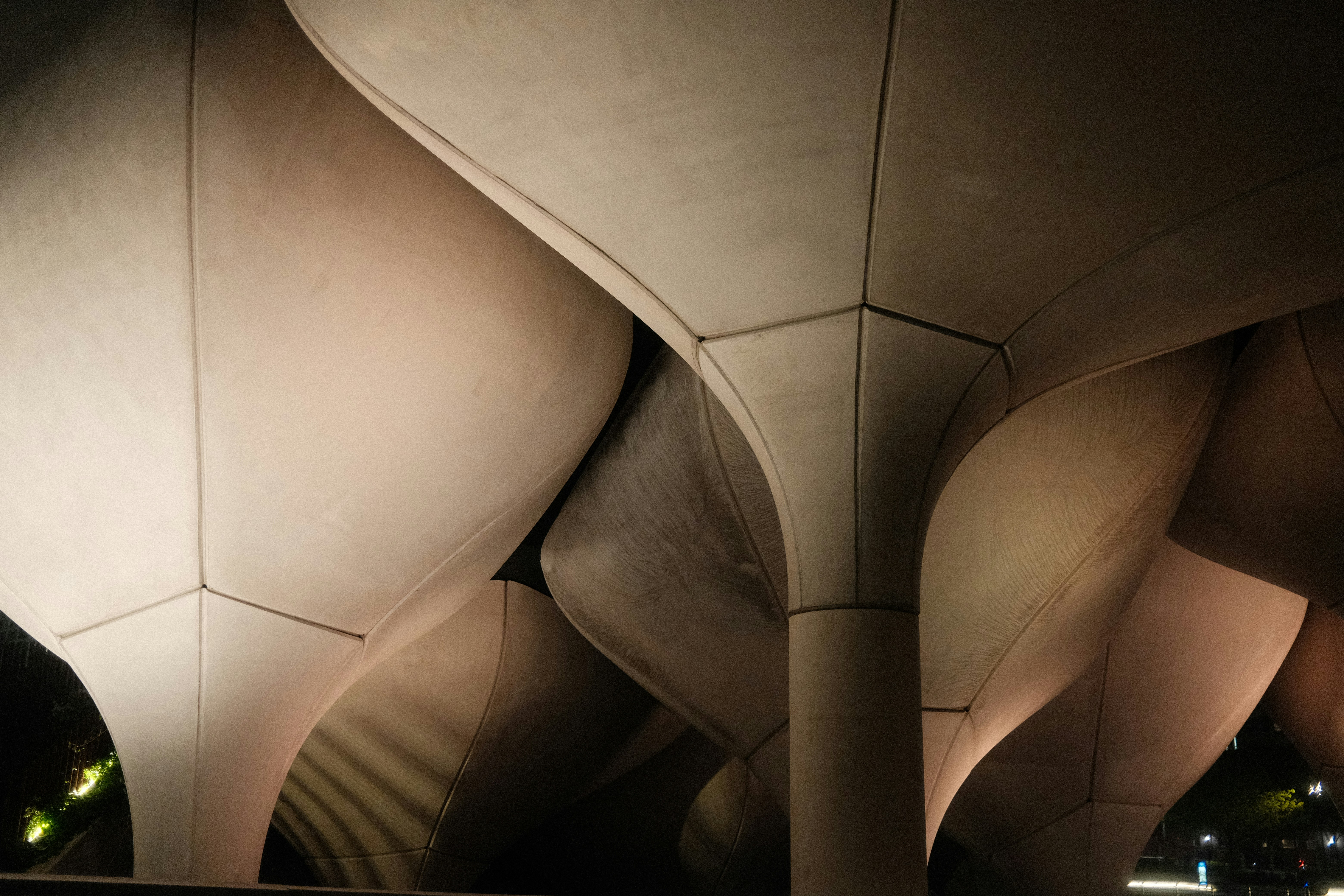 Interwoven Concrete: Night Shadows Under Curved Arches