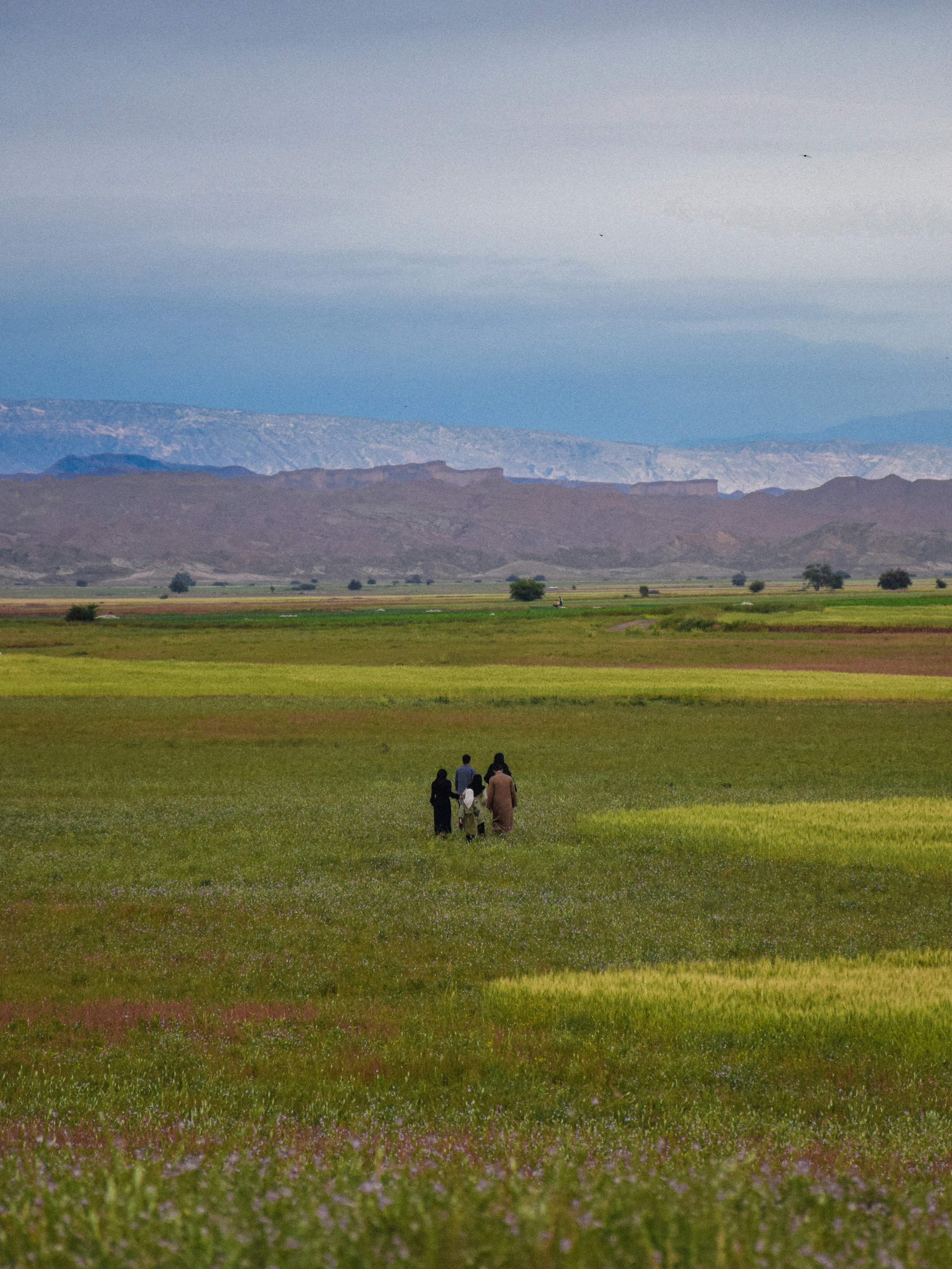 A Small Group on the Open Plain under Expansive Skies