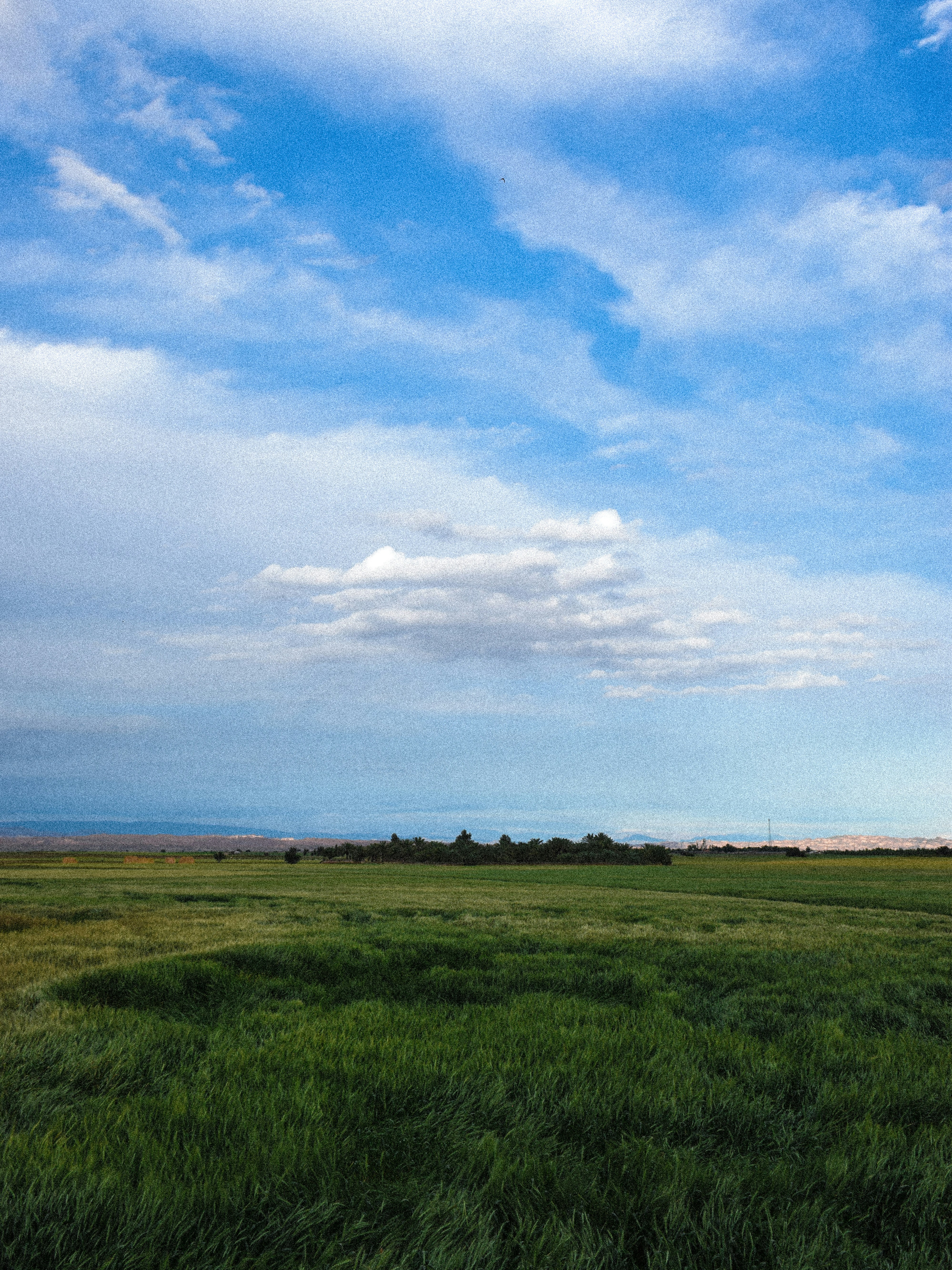 Open Sky Over Salt Plains: A Quiet Horizon