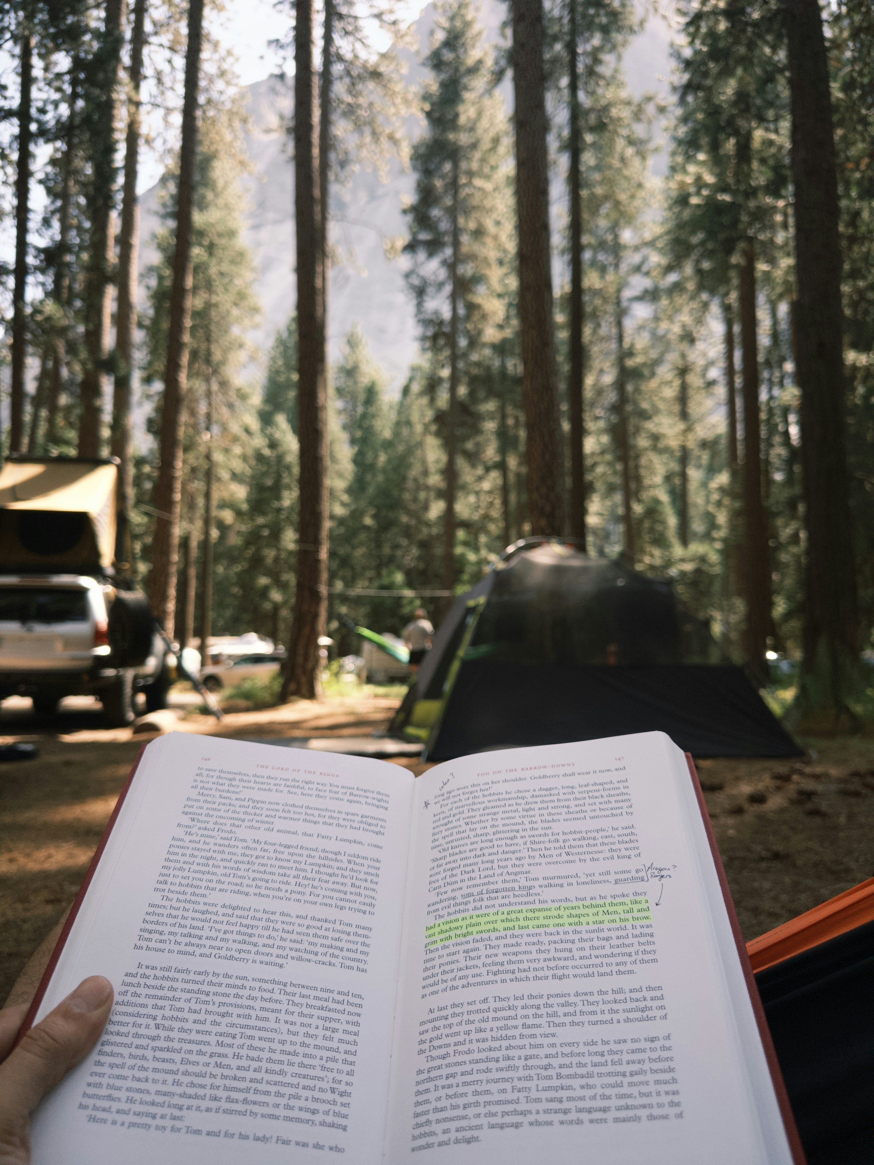 Open-Page Reverie: Reading in a Pine-Needle Camp