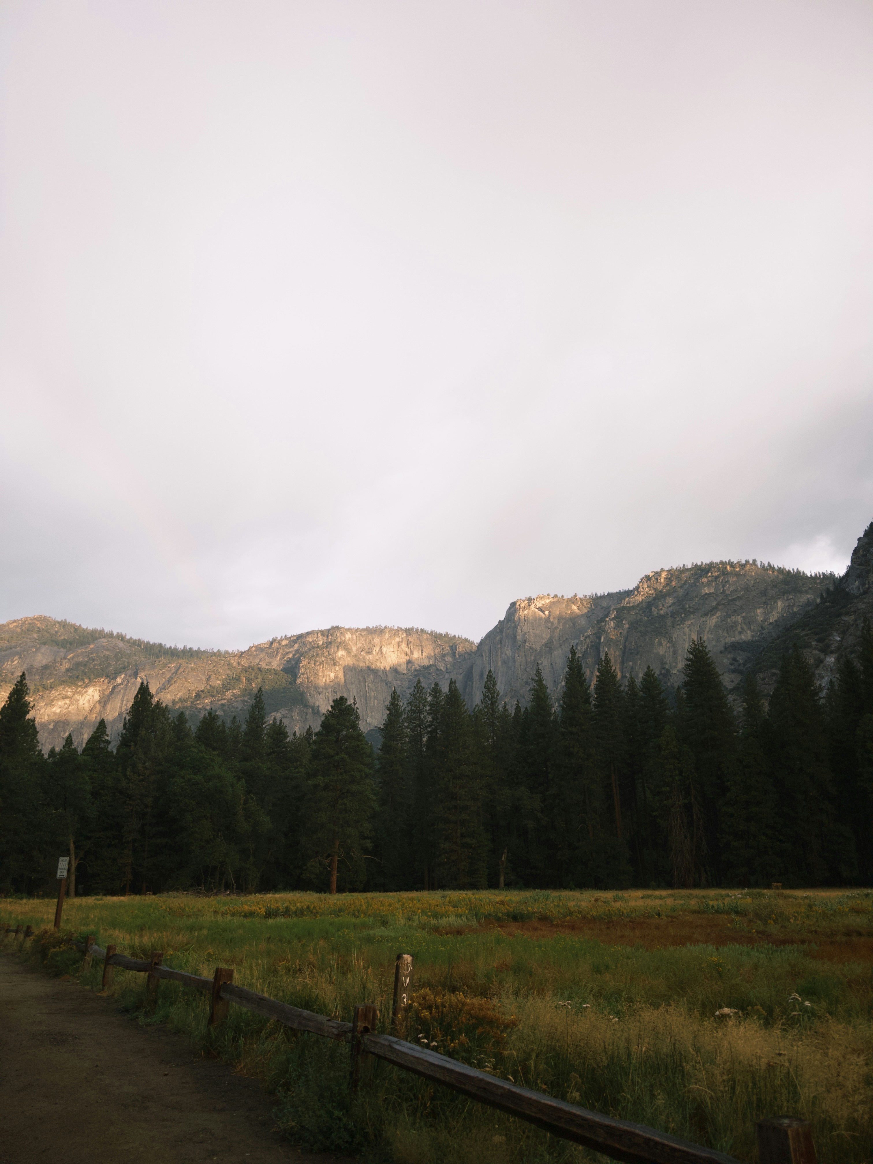 Light on the Ridge: Meadow, Forest, and Mountain Tops at Dusk
