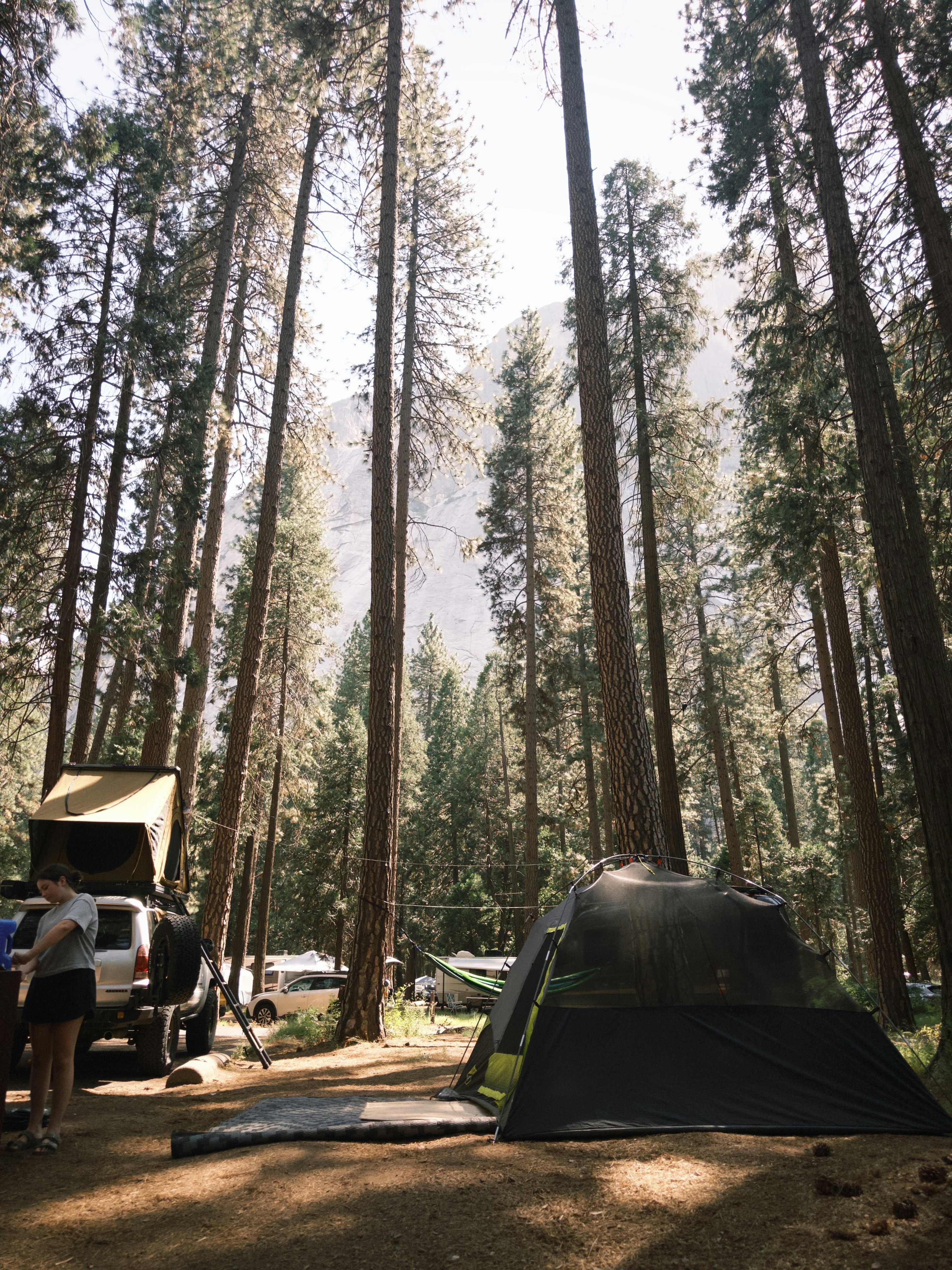 Campfire Quiet Under Aluminum Pines