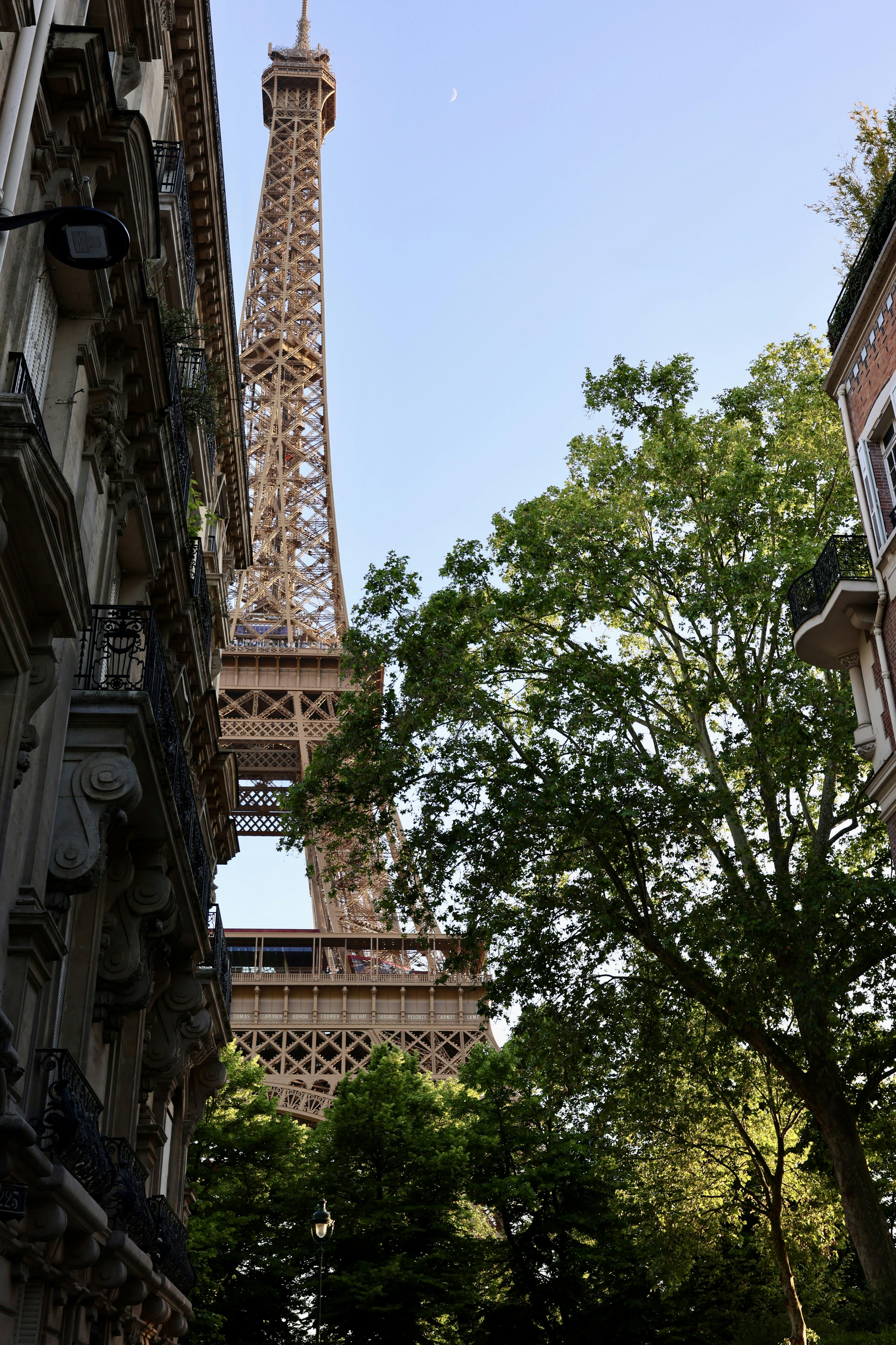 A sunlit Paris street scene with the Eiffel Tower peeking over the left, framed by lush trees and classic façades. A calm urban composition emphasizing architecture and greenery.