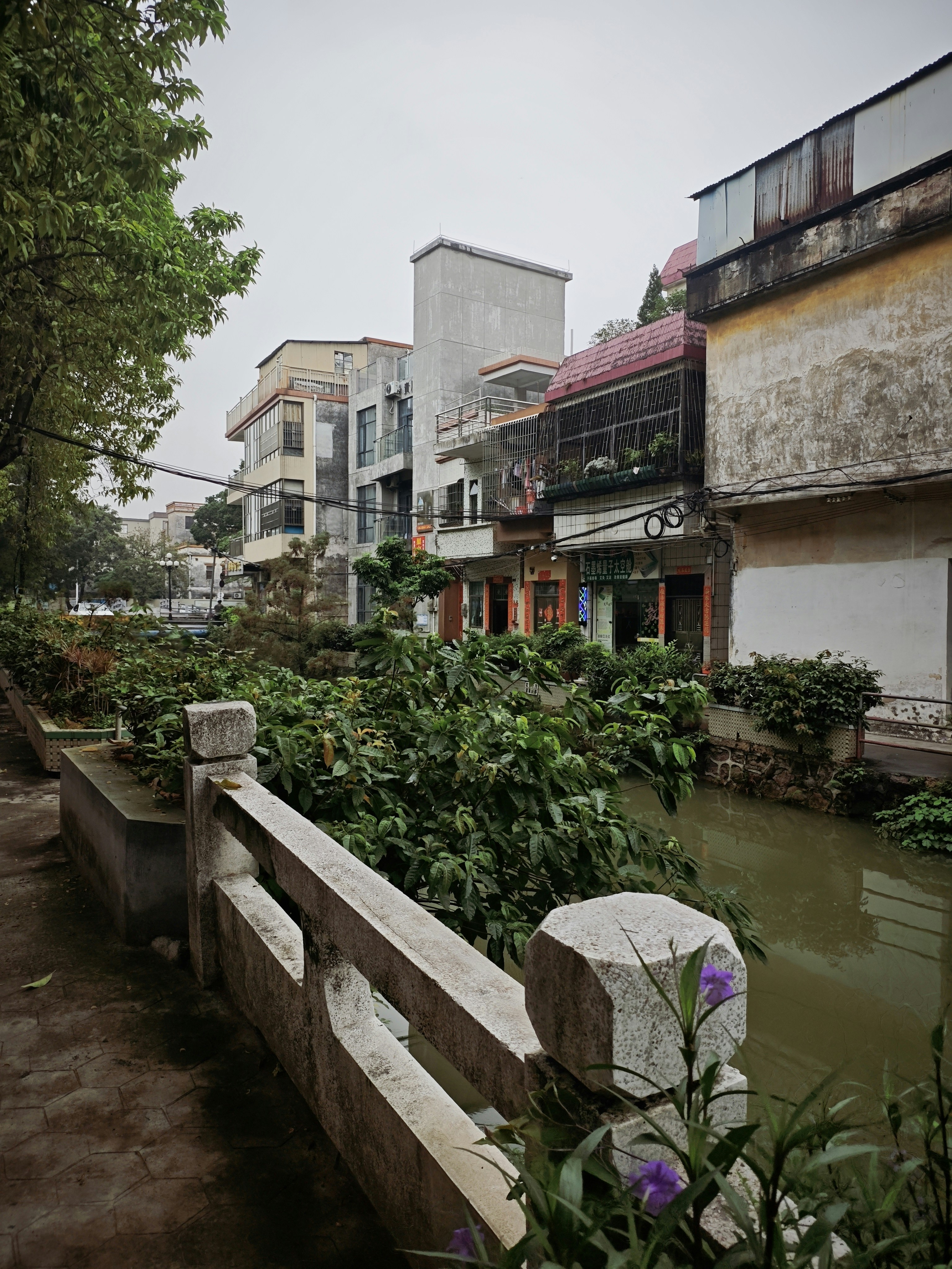 A quiet canal runs along a row of aged urban buildings, with a stone railing in the foreground and lush plants along the water’s edge.