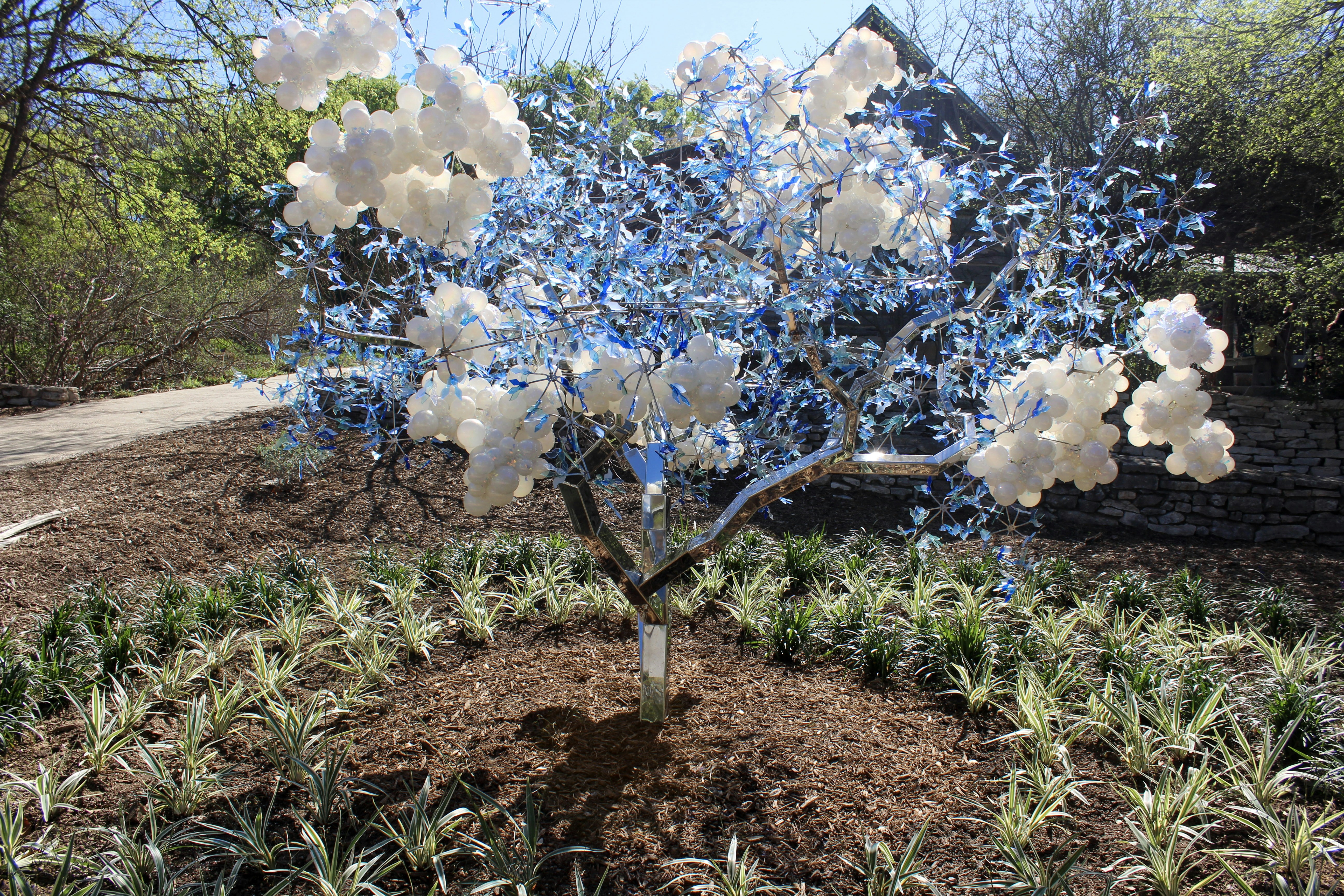 Blossoming Blue-and-White Tree at Centered Garden Bed