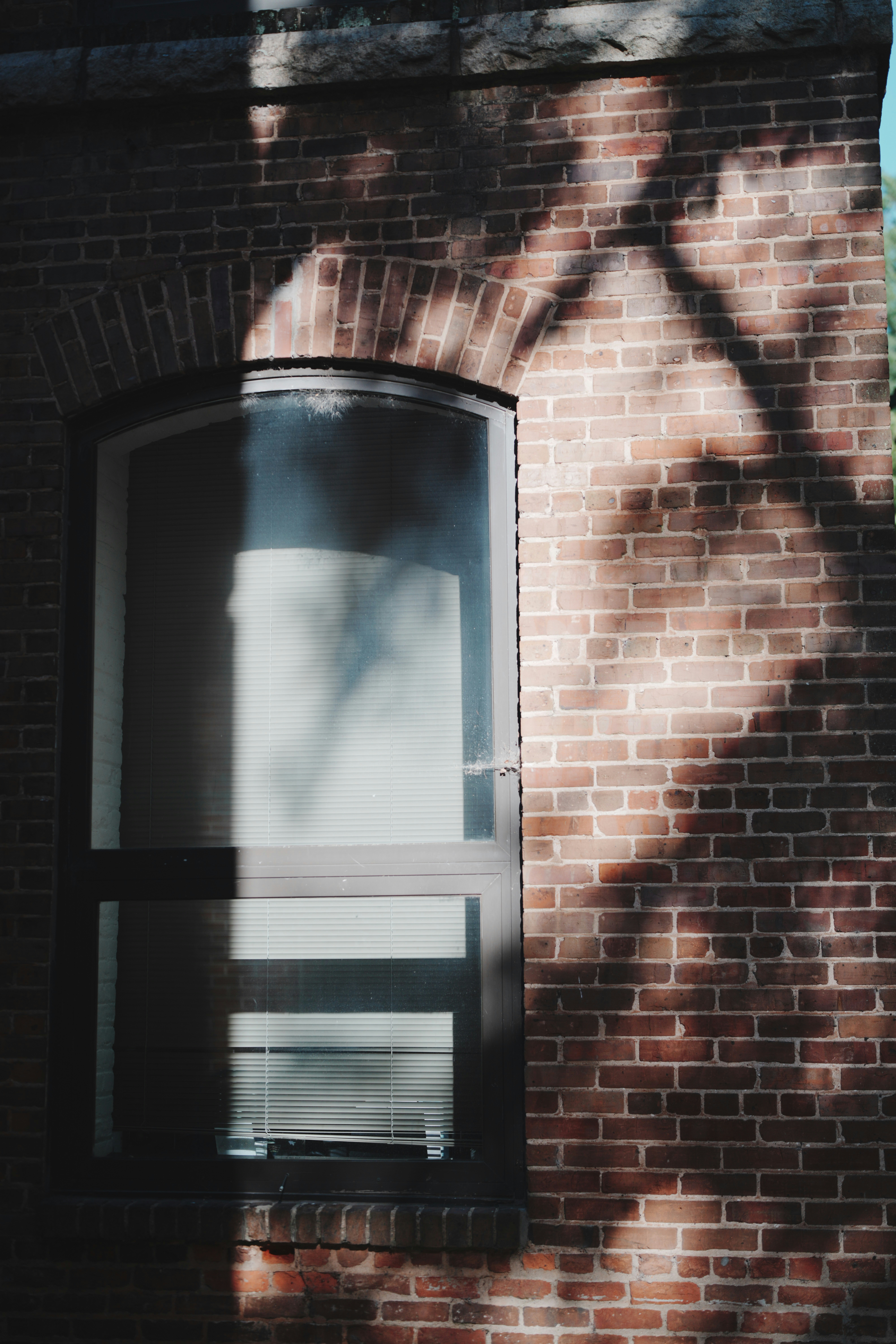 Brick Window in Dappled Shadows
