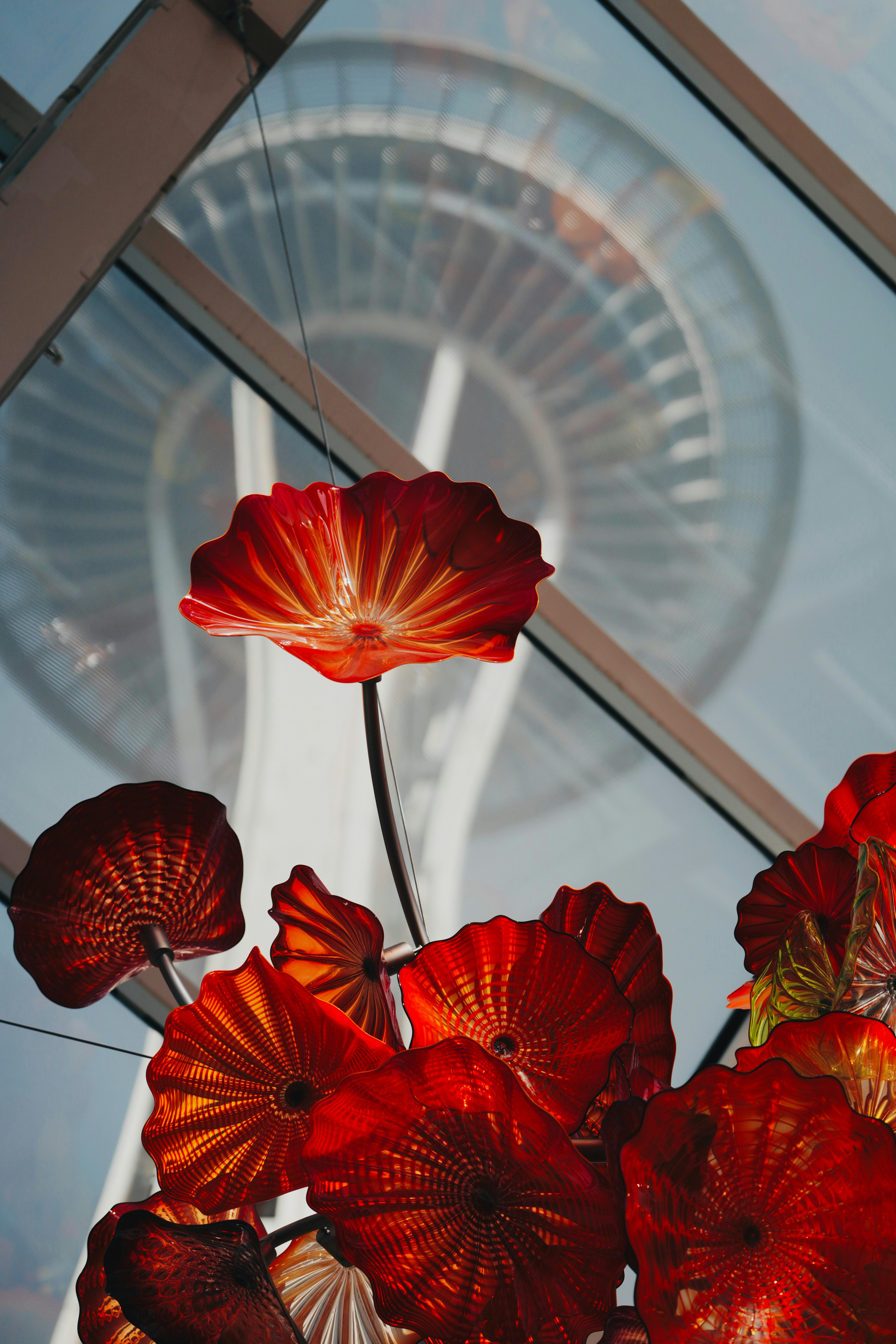 Red Studio Blooms Beneath a Glass Dome