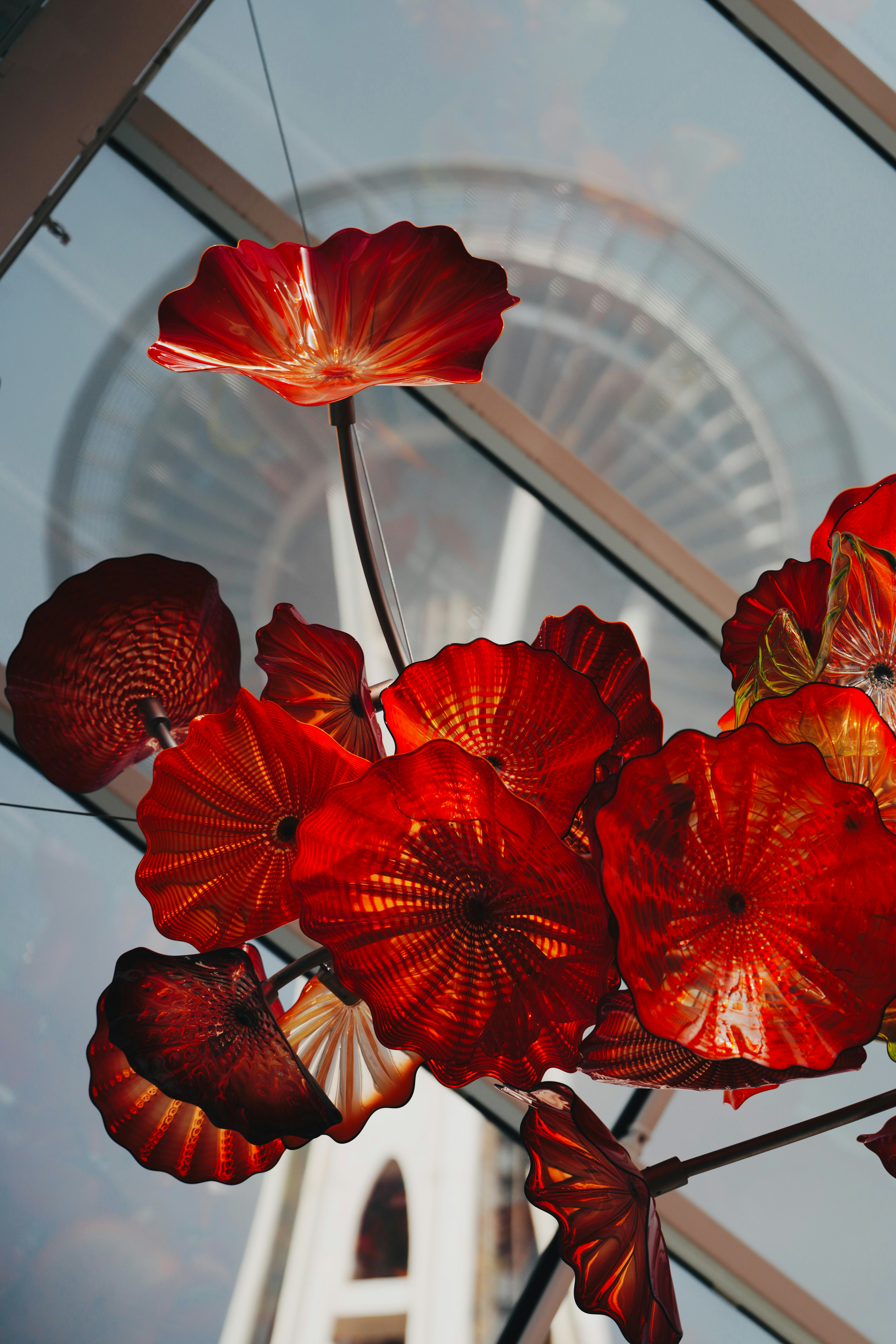 Crimson Petals in a Glassed Dream