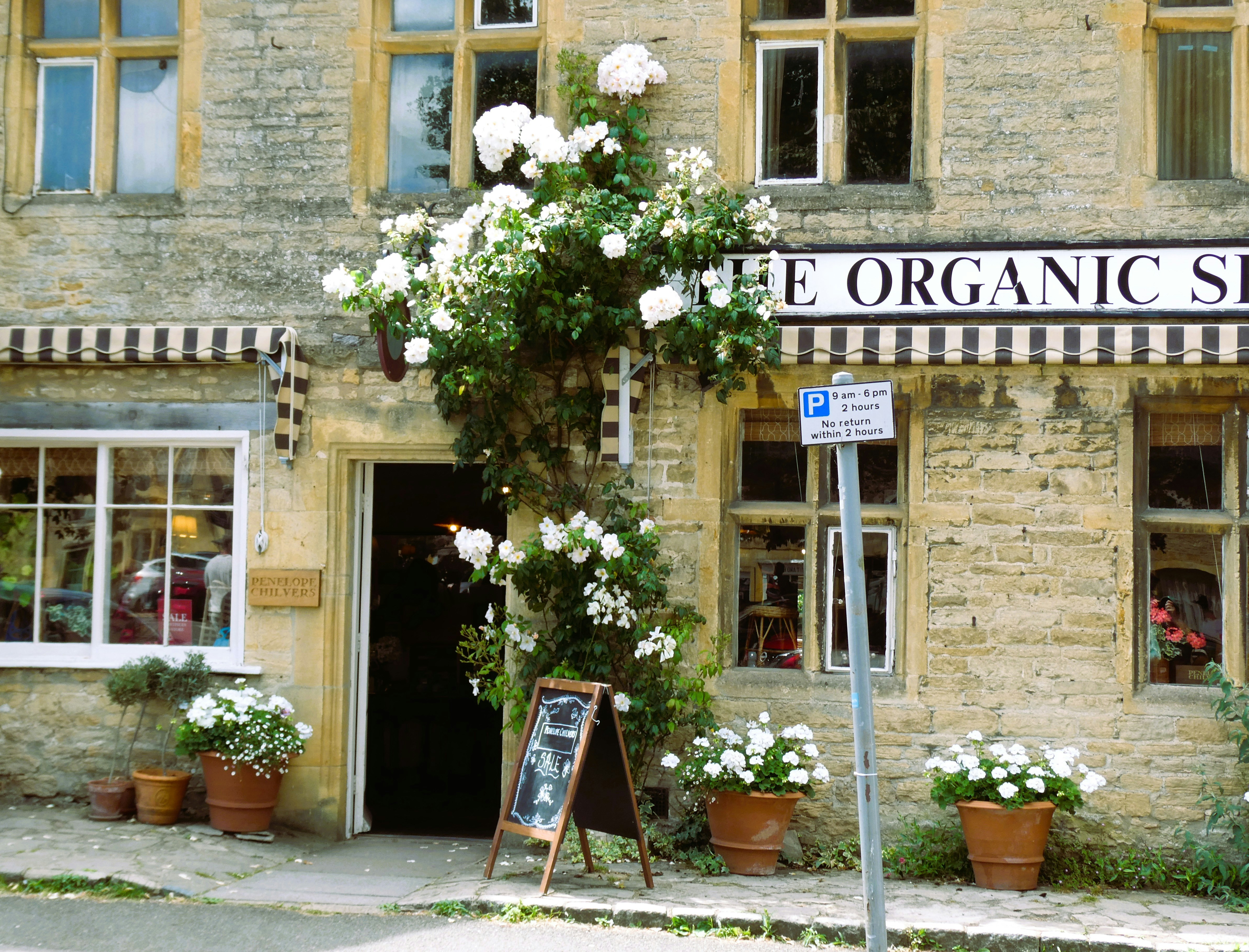 Cottage façade with climbing roses and chalkboard menu