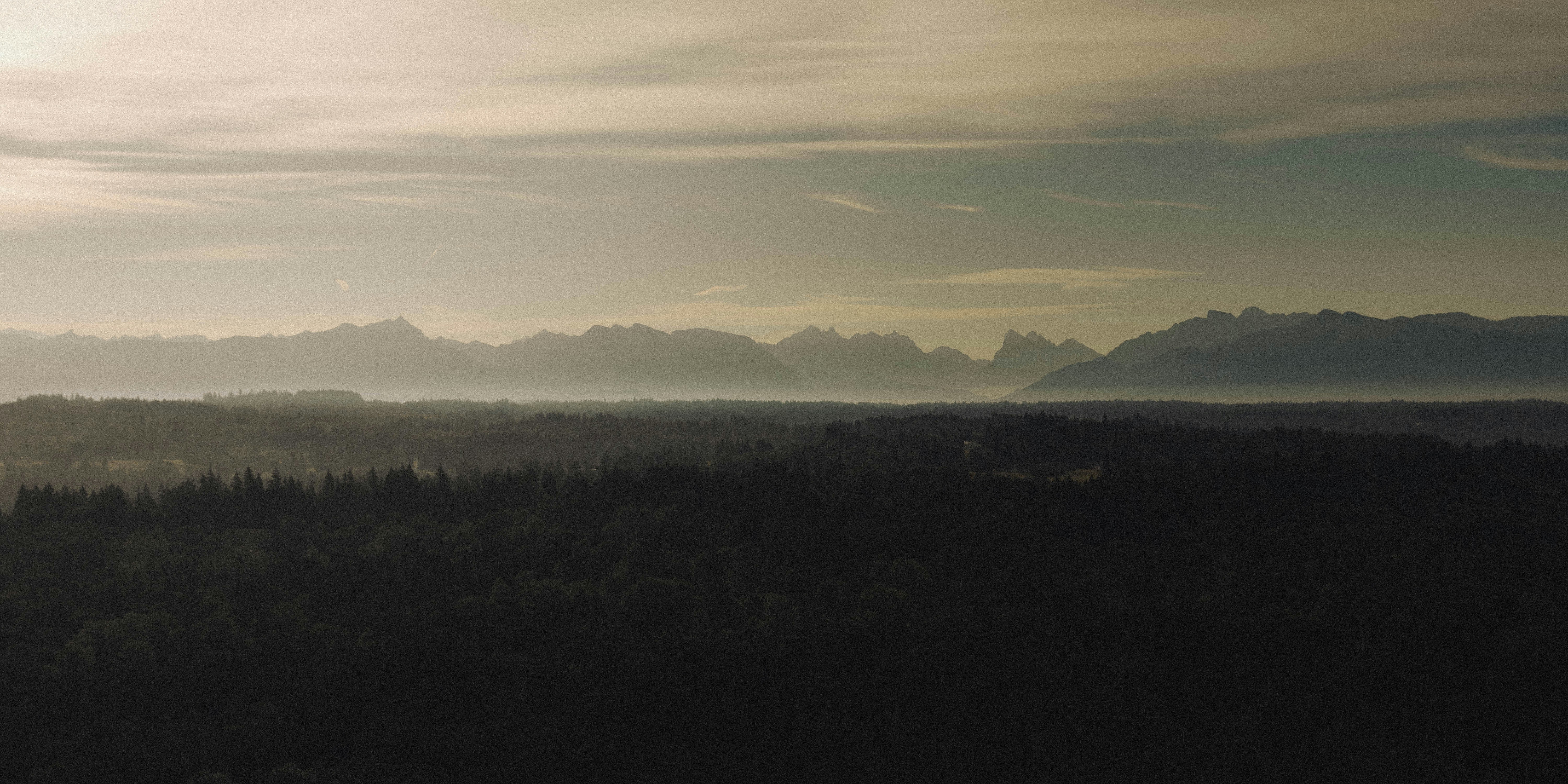 Silhouetted forest foreground with a distant mountain range under a soft, hazy sky at dusk. A calm, expansive landscape emphasizing depth and atmospheric distance.