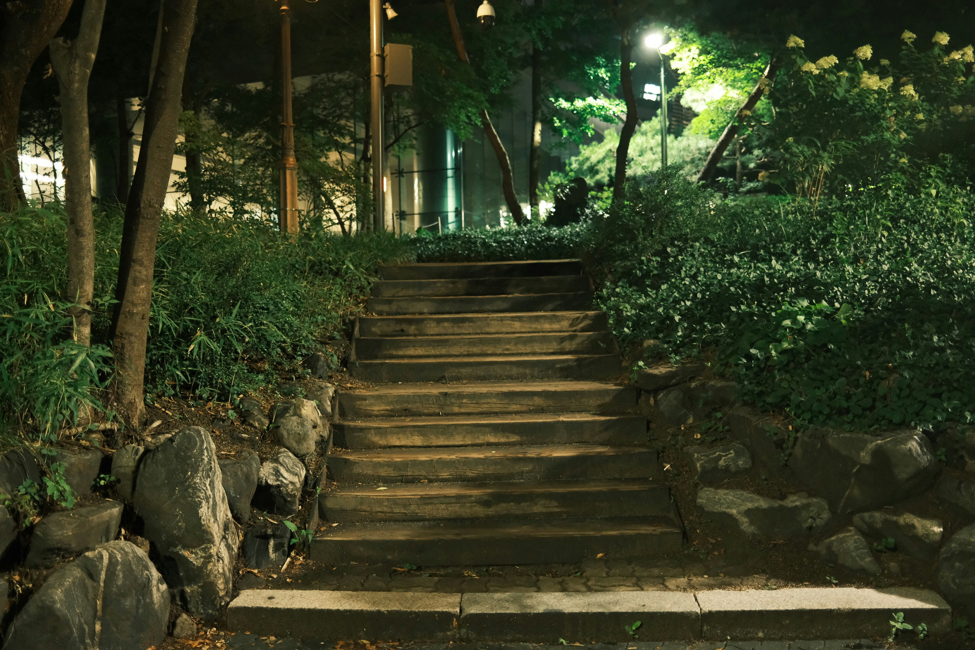 Moonlit Stairway Through a Quiet Garden