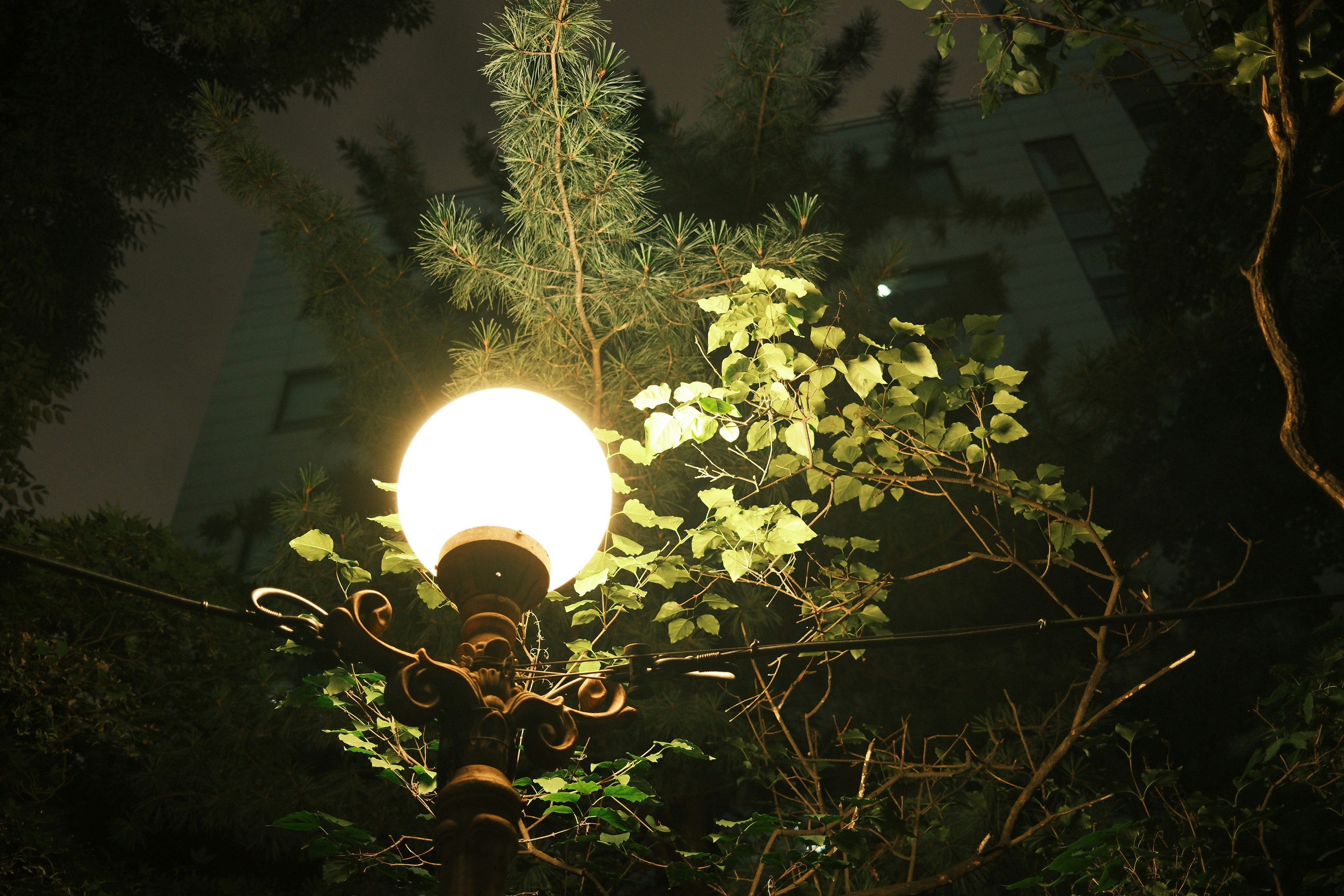 Gaslit Garden: Night lamp overgrown with leaves