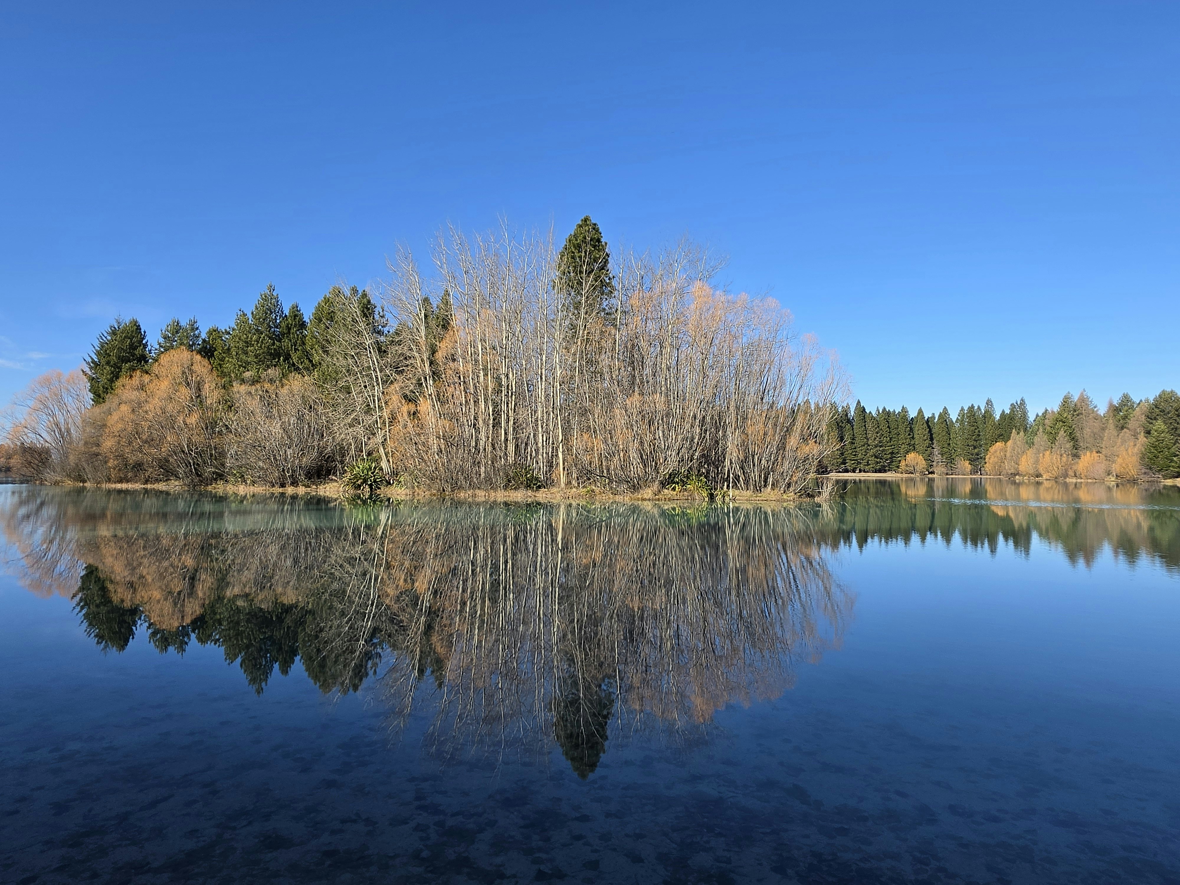 Twin-Lake Silhouette: Trees and Their Mirror