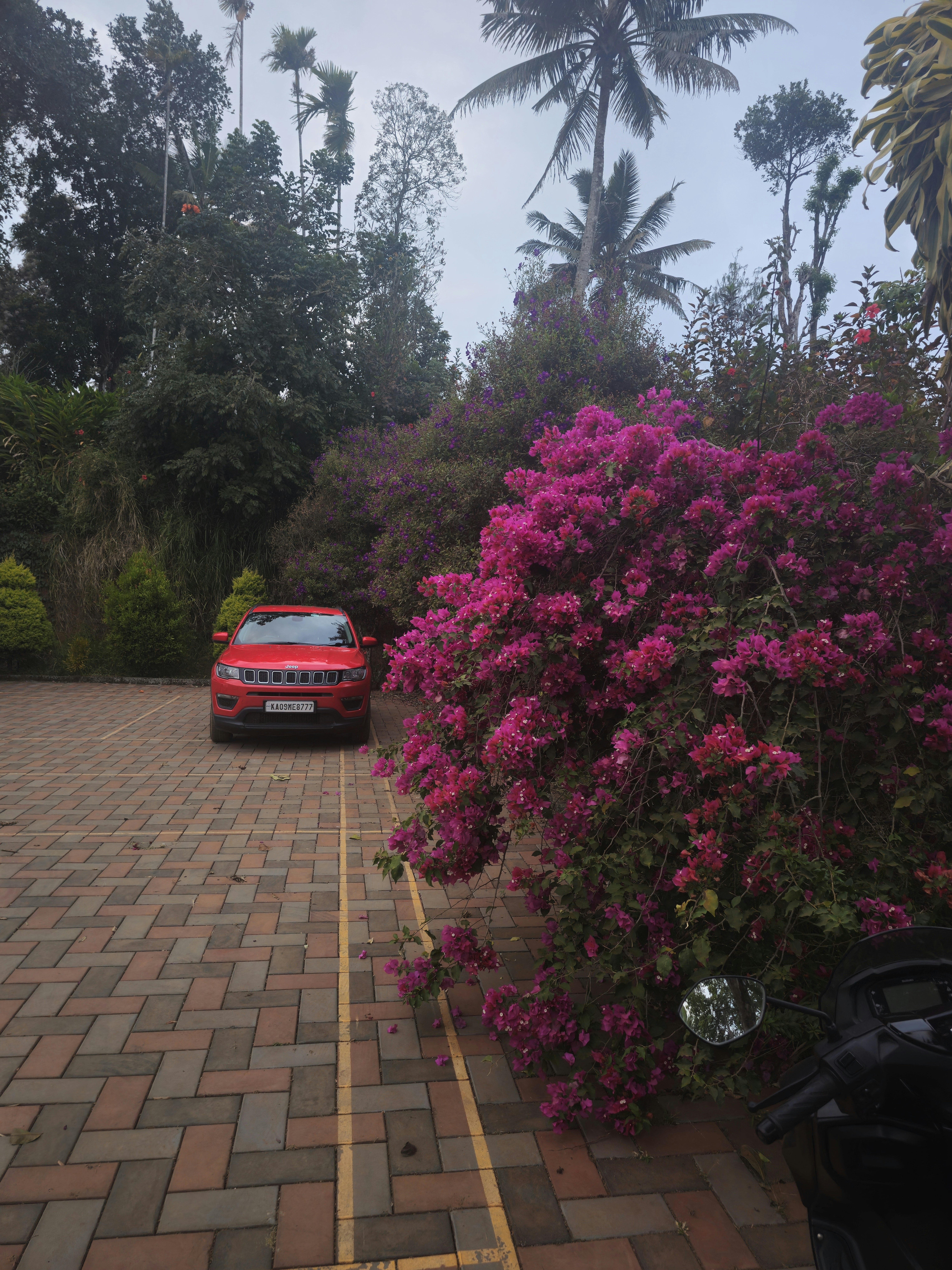 Crimson Car Beneath Bouganvilleas in Sunlit Courtyard