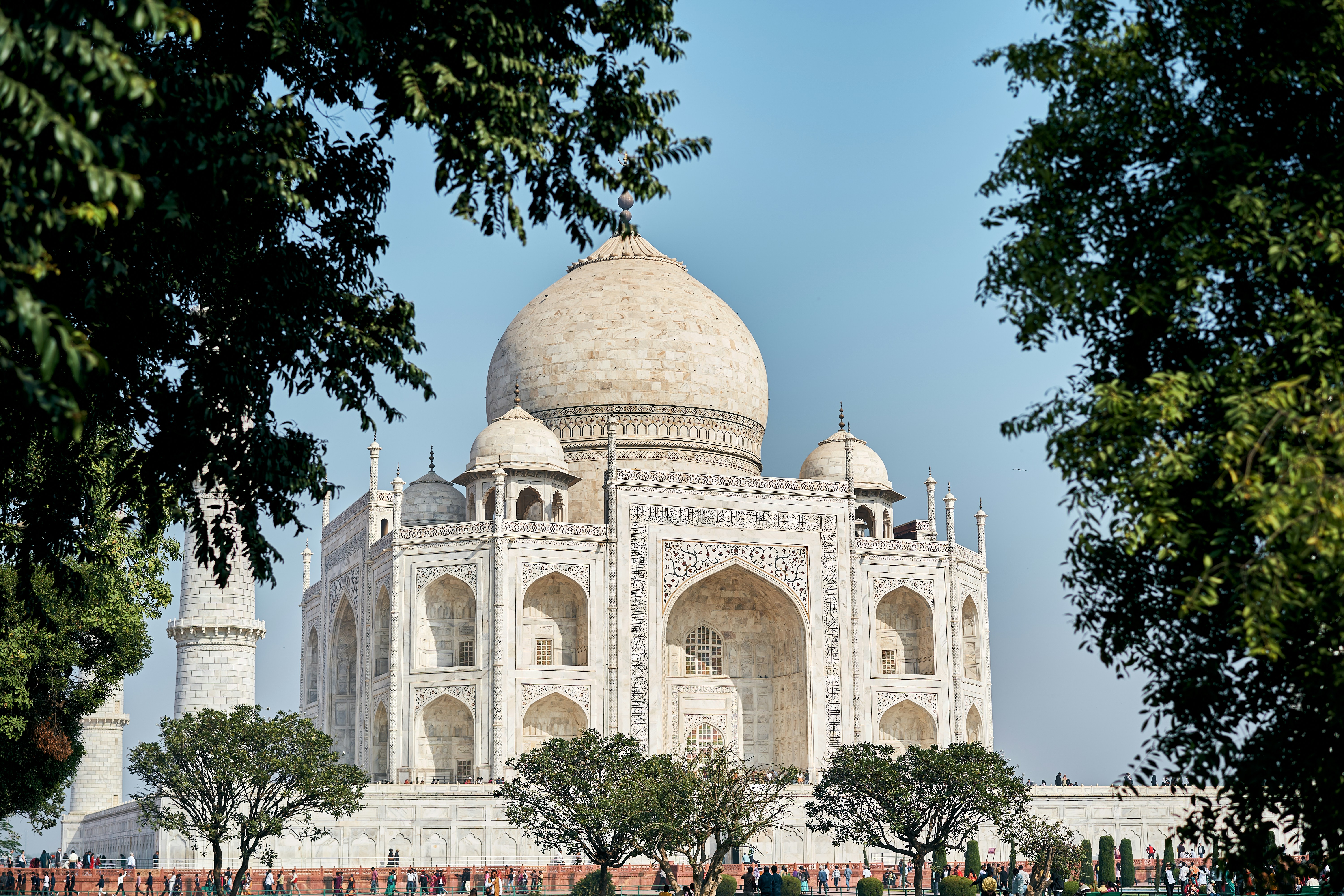 Dome and Facade of the Taj Mahal Framed by Verdant Arches