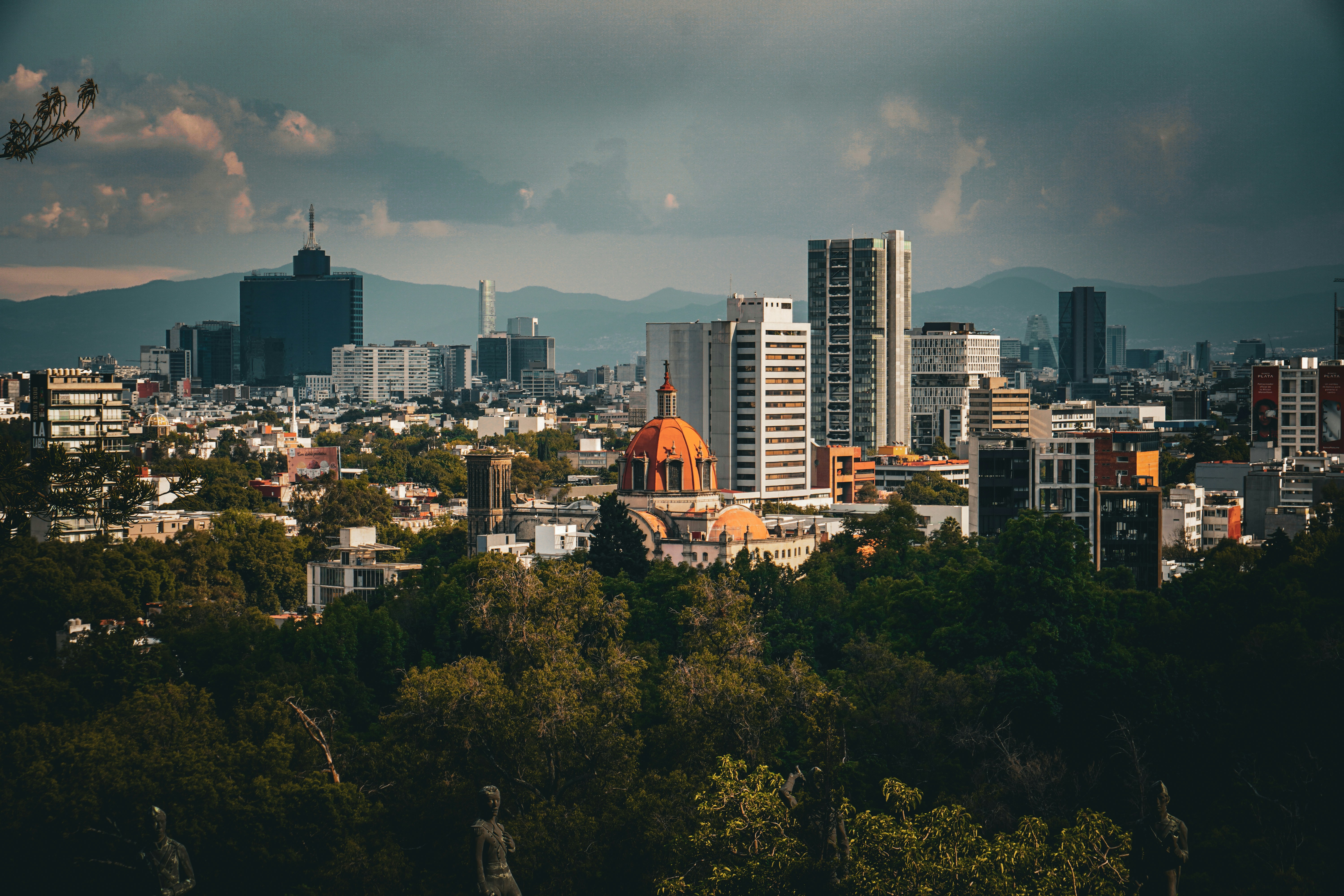 Dome of the City: A Panorama Over Urban Canopies