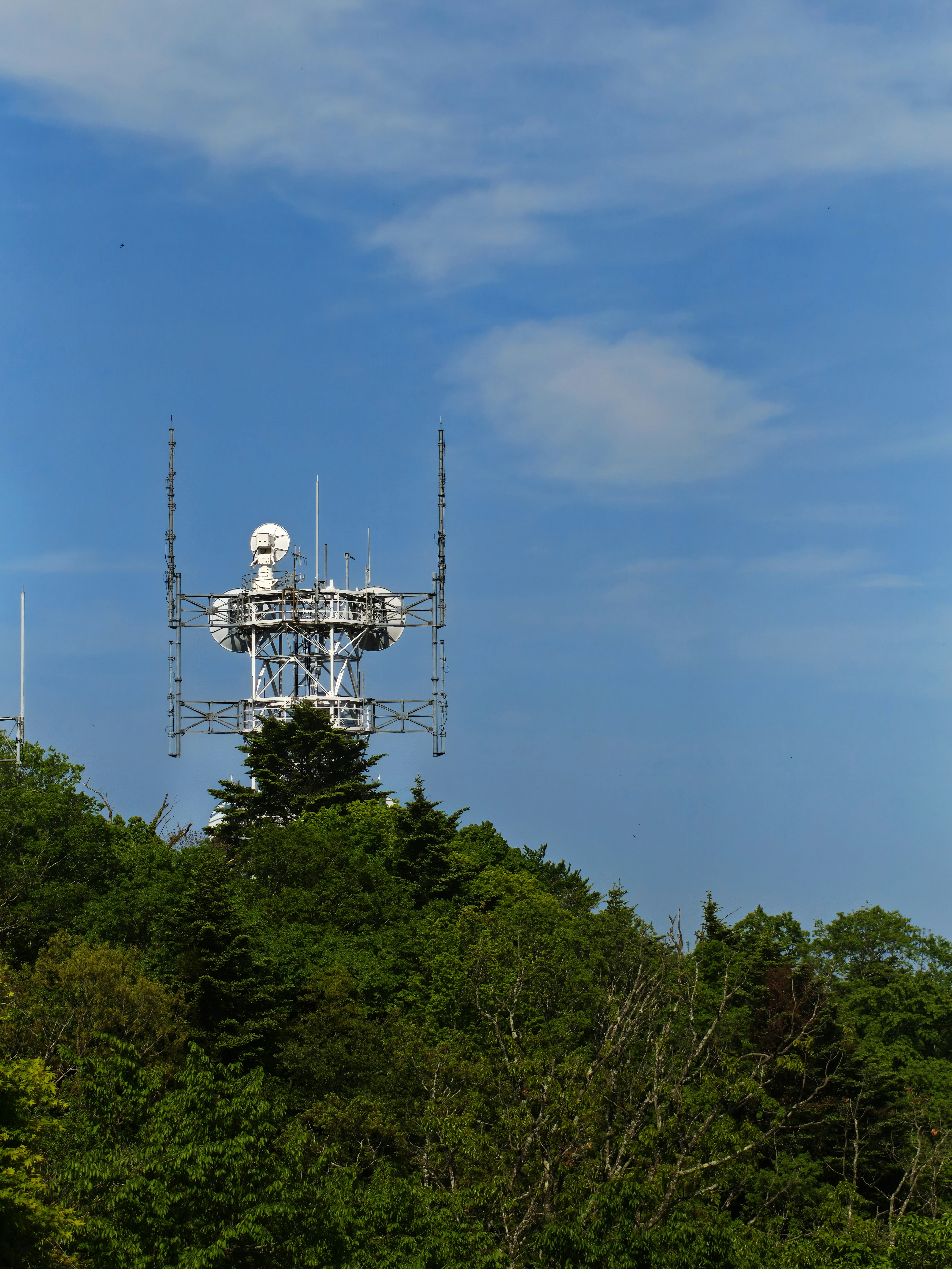 A metal telecommunications tower rising above a dense green forest under a blue sky