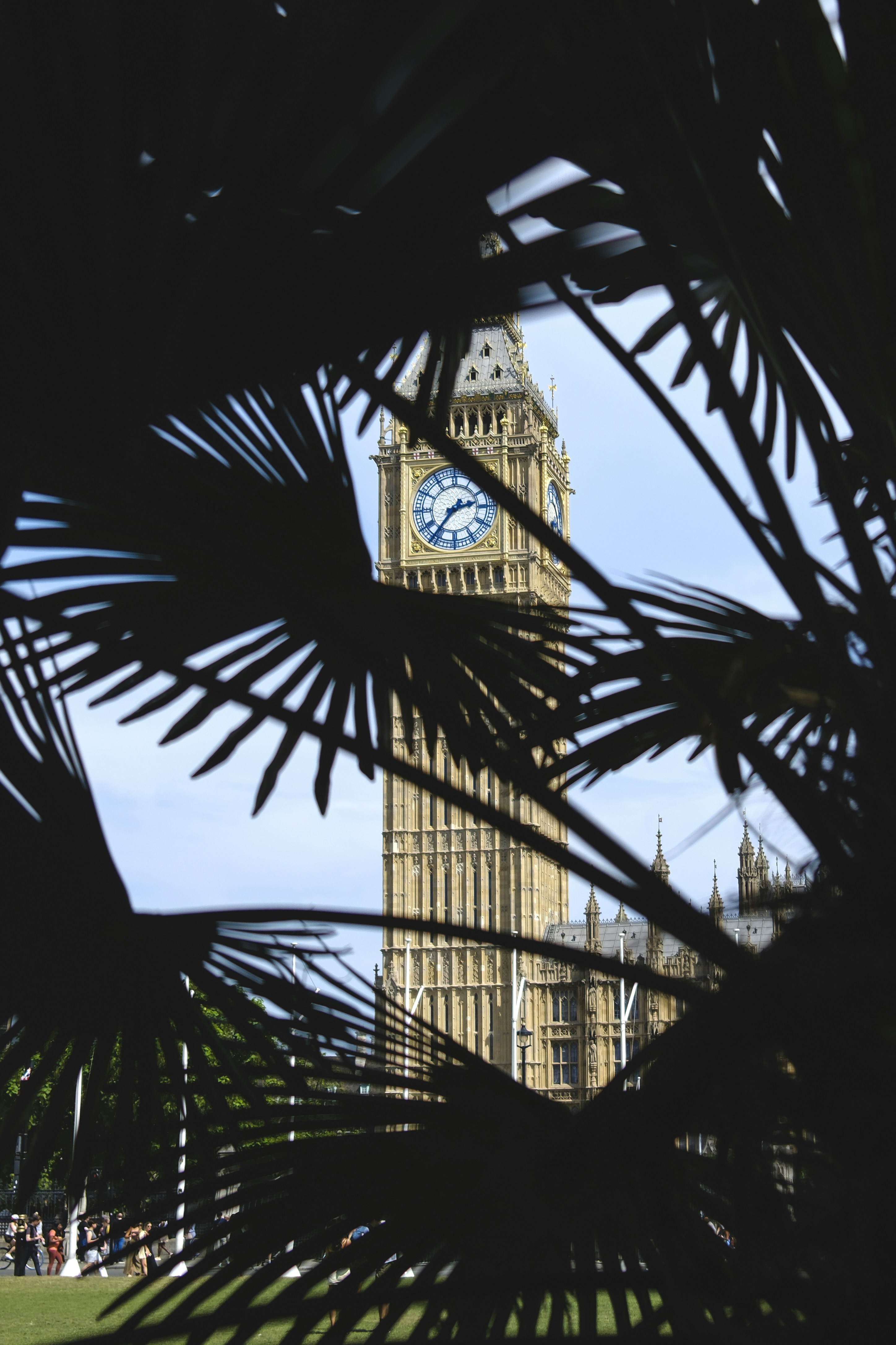 Palatial Timekeeper Sliced by Foliage