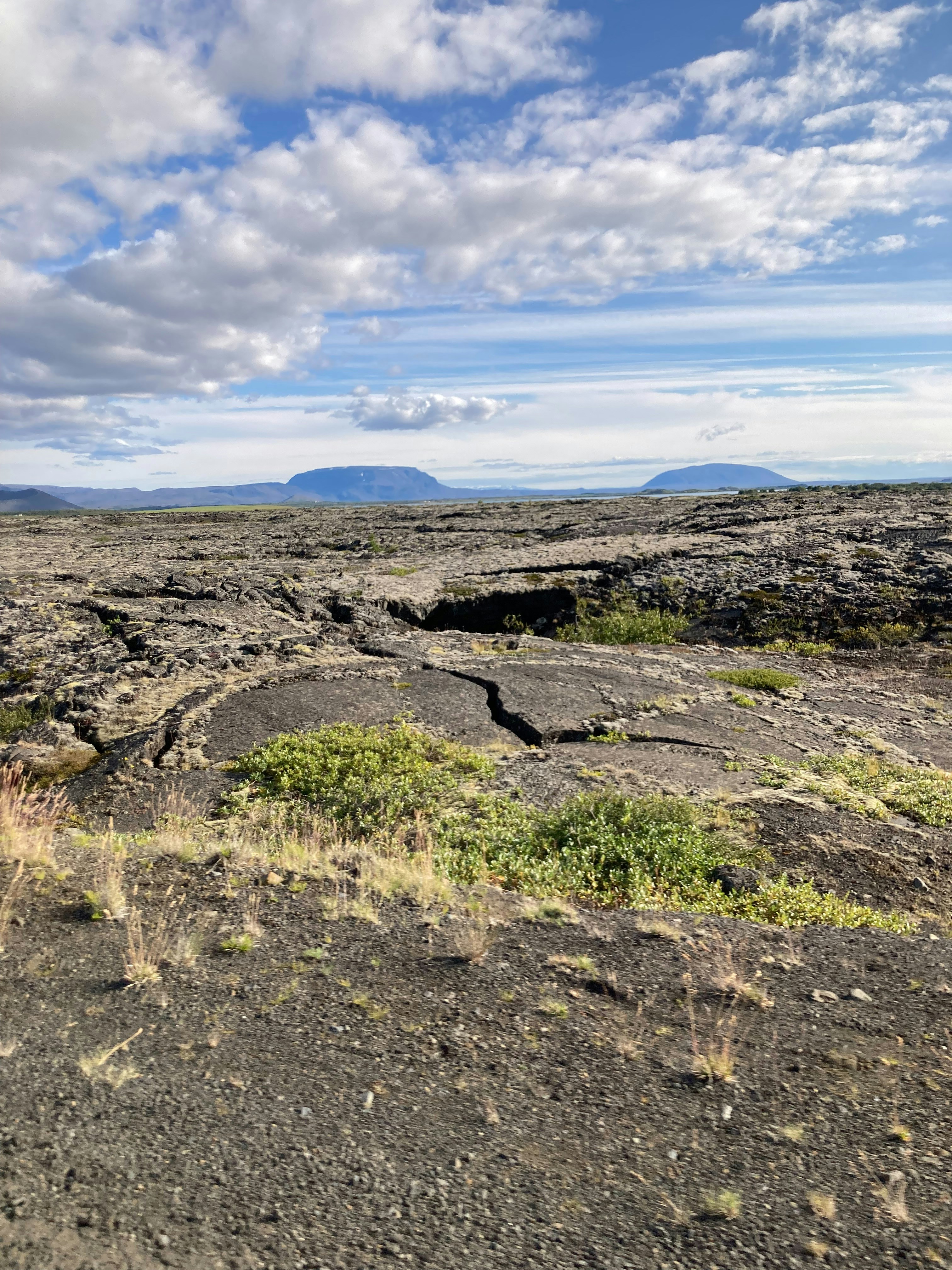 Rugged volcanic terrain with cracked basalt lava and sparse vegetation stretches toward distant plateaus under a partly cloudy sky. A sense of vast, arid landscape and geological texture defines the scene.