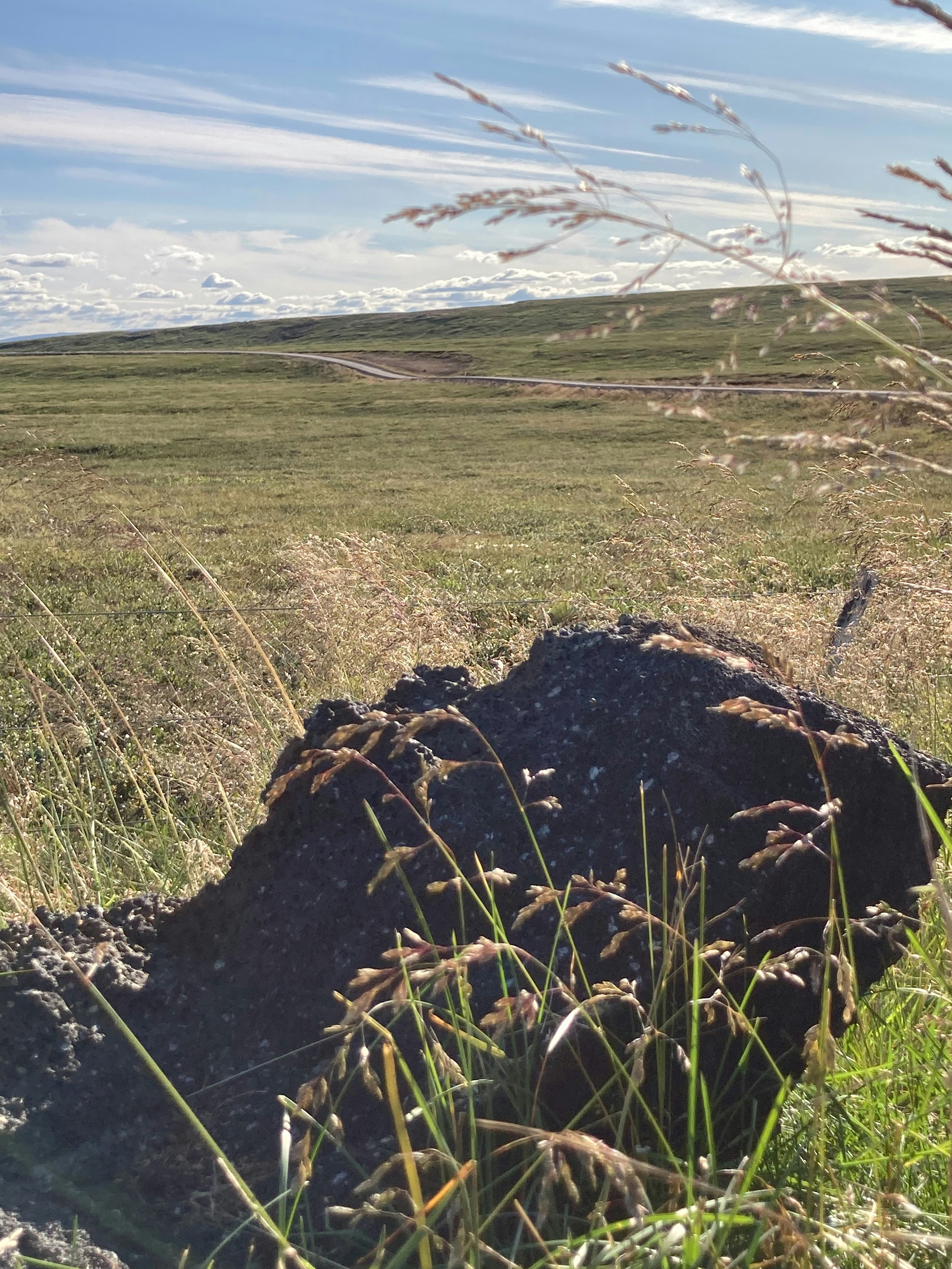 Crag and Grass: A Quiet Prairie under Wide Skies