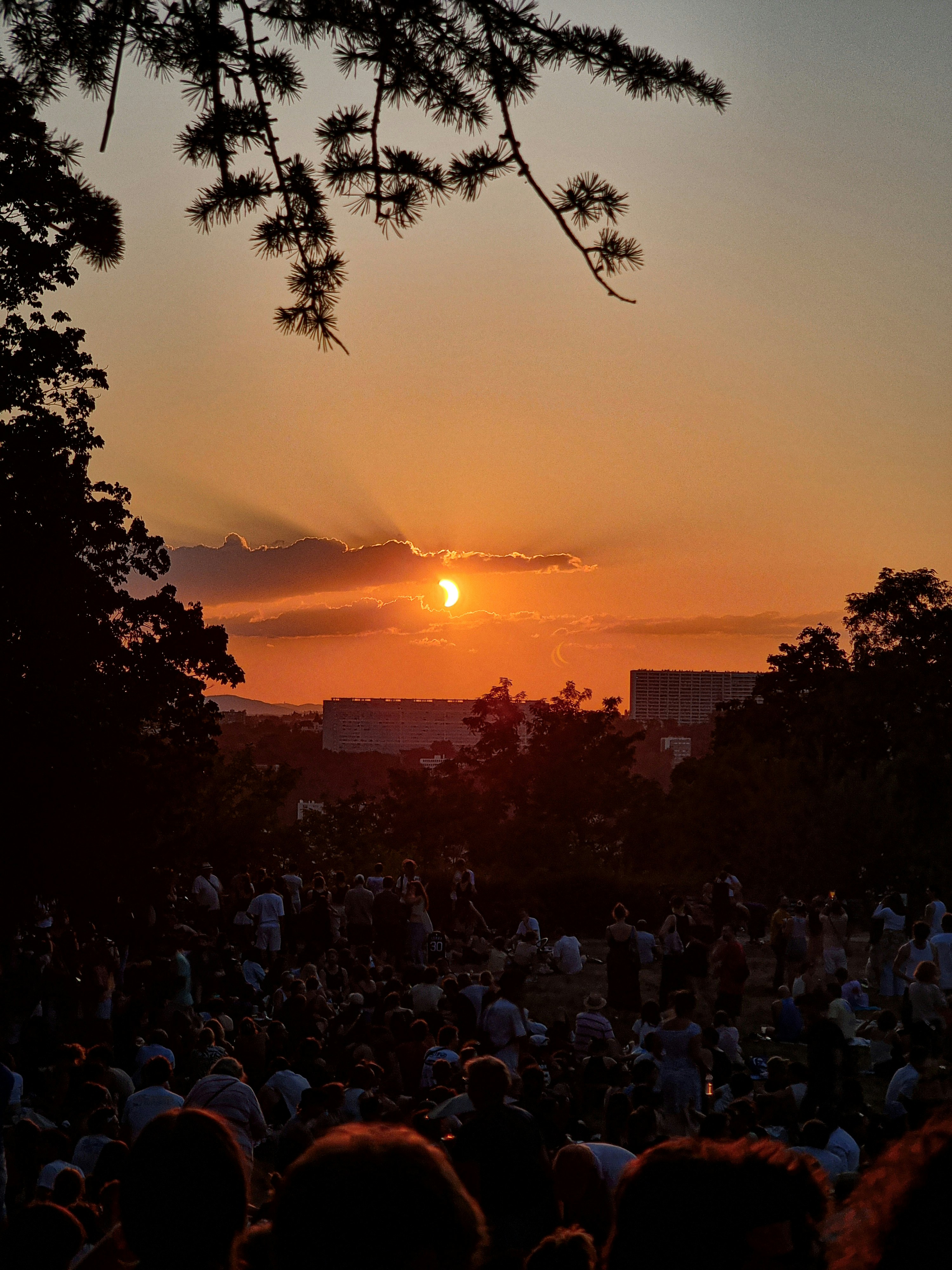 Sunset Reverie Over the Crowded Hill