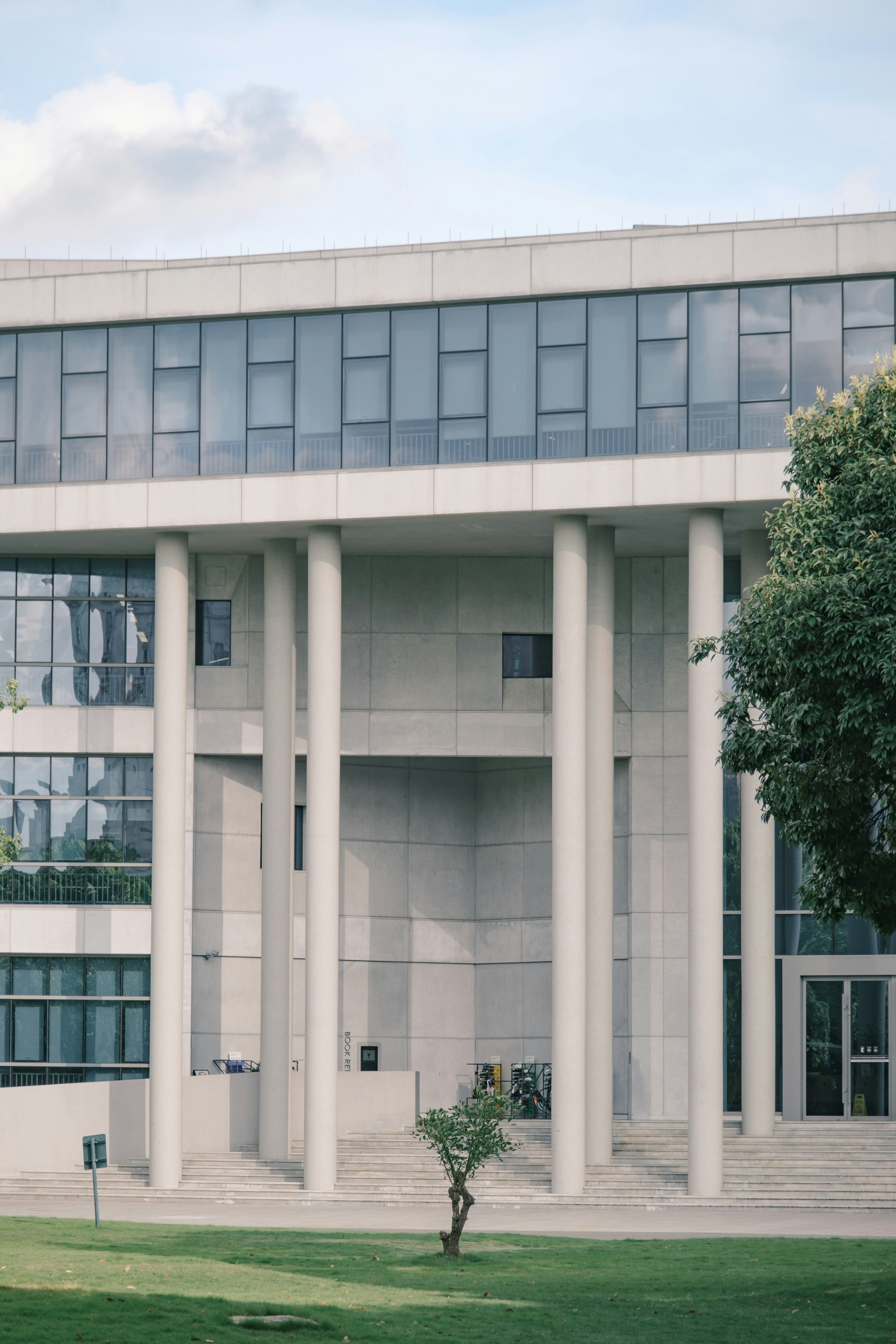 Architectural Echoes: Parallel Columns Grounded by a Lone Tree