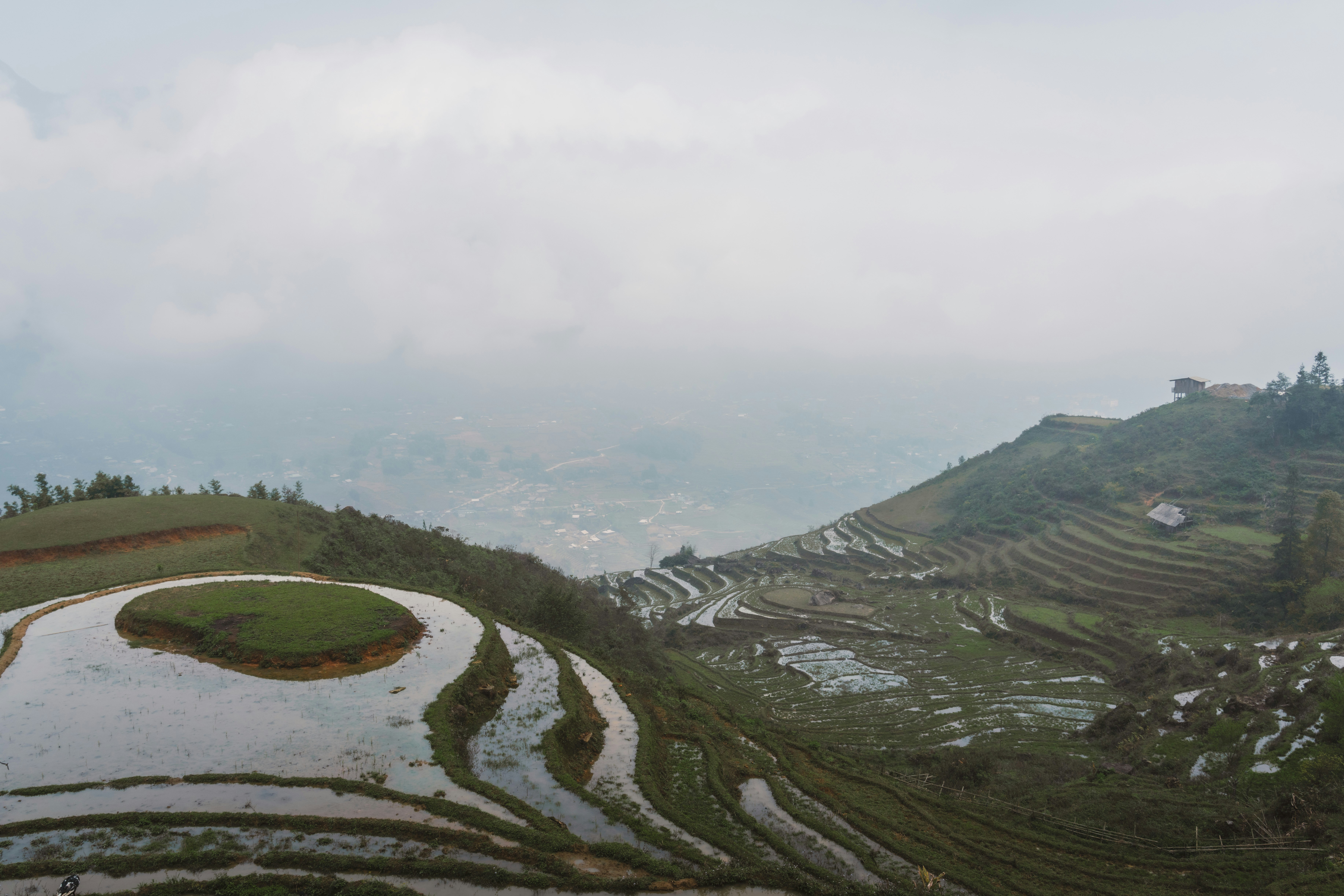 Terraced Rice Fields Receding into a Misty Valley