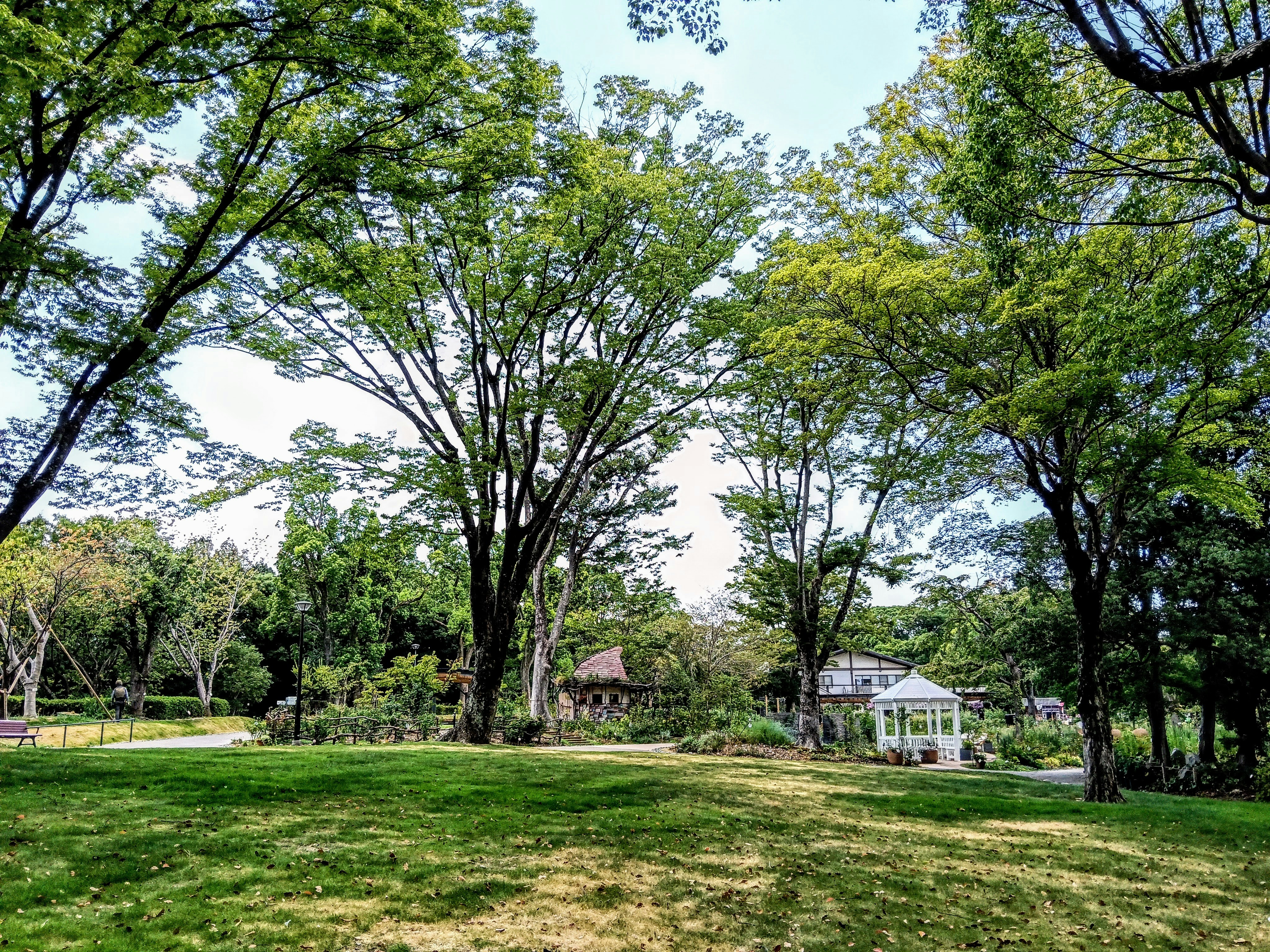 Sun-drenched park scene with large trees, green lawn, and a small pavilion in the distance; a few buildings peek through the foliage. A tranquil, everyday outdoor setting.