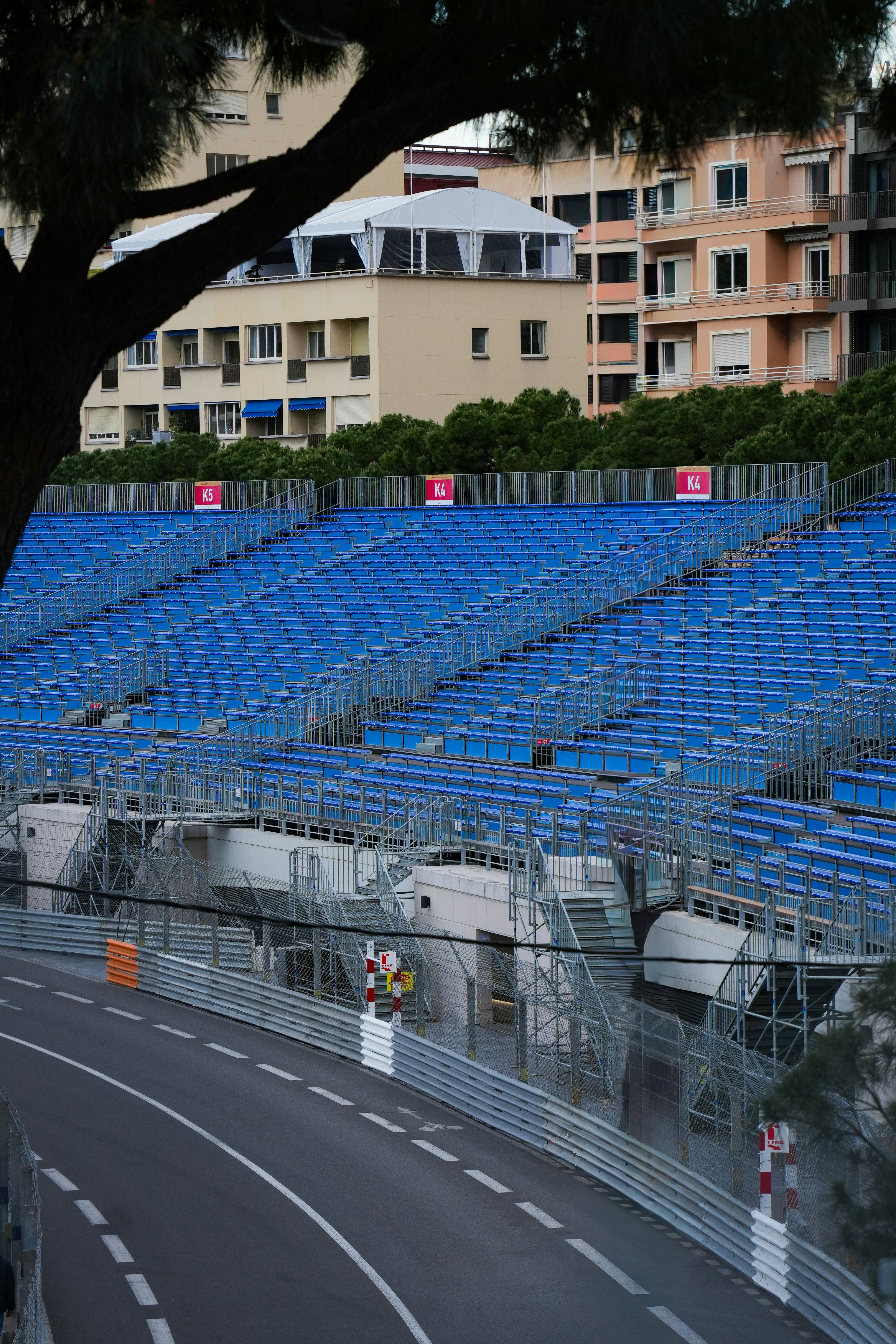 Blue Stadium Tiers under a Towering Tree Canopy