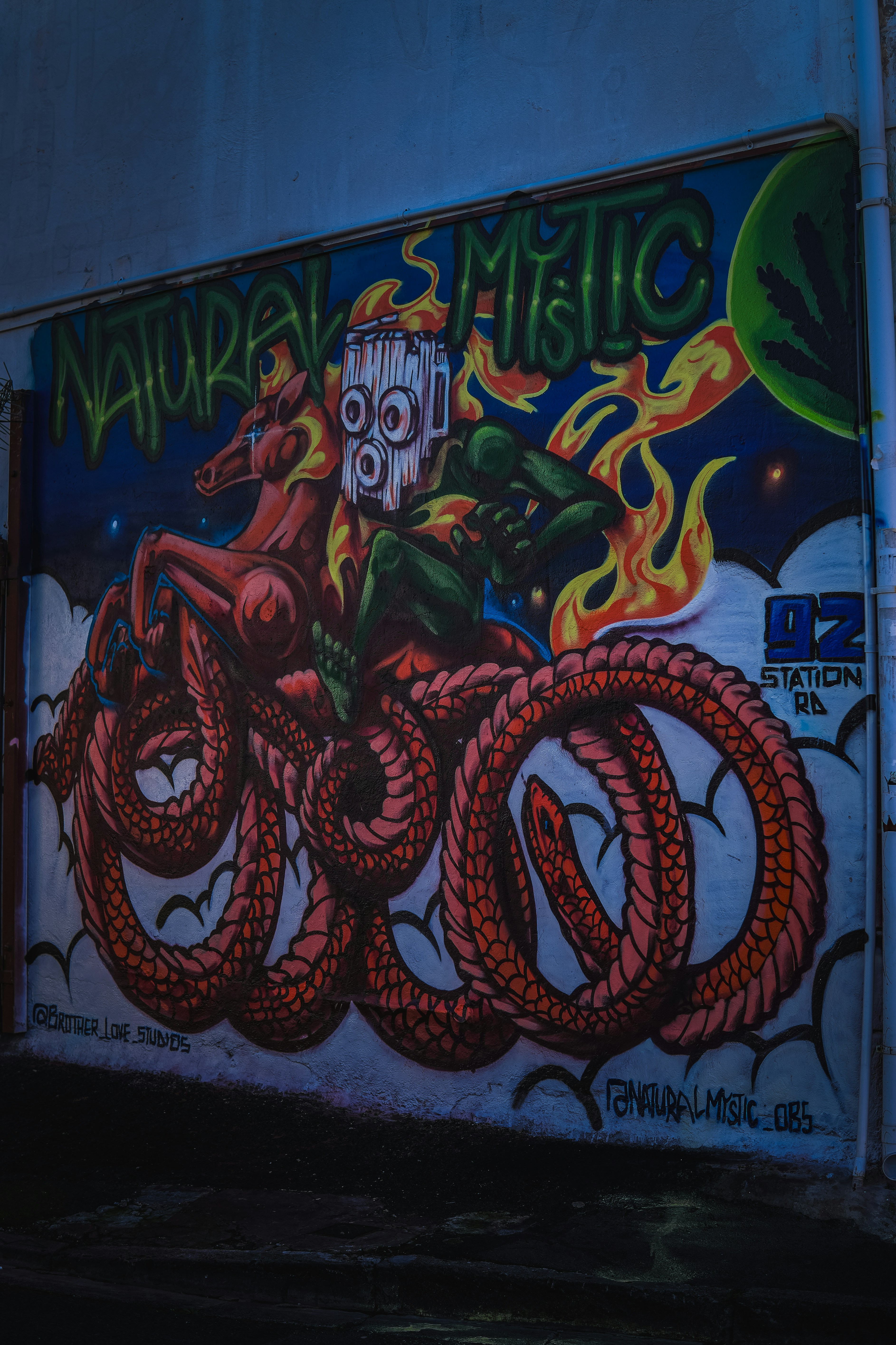 Serpentine Graffiti: Fire, Rope and Robot Overdrive