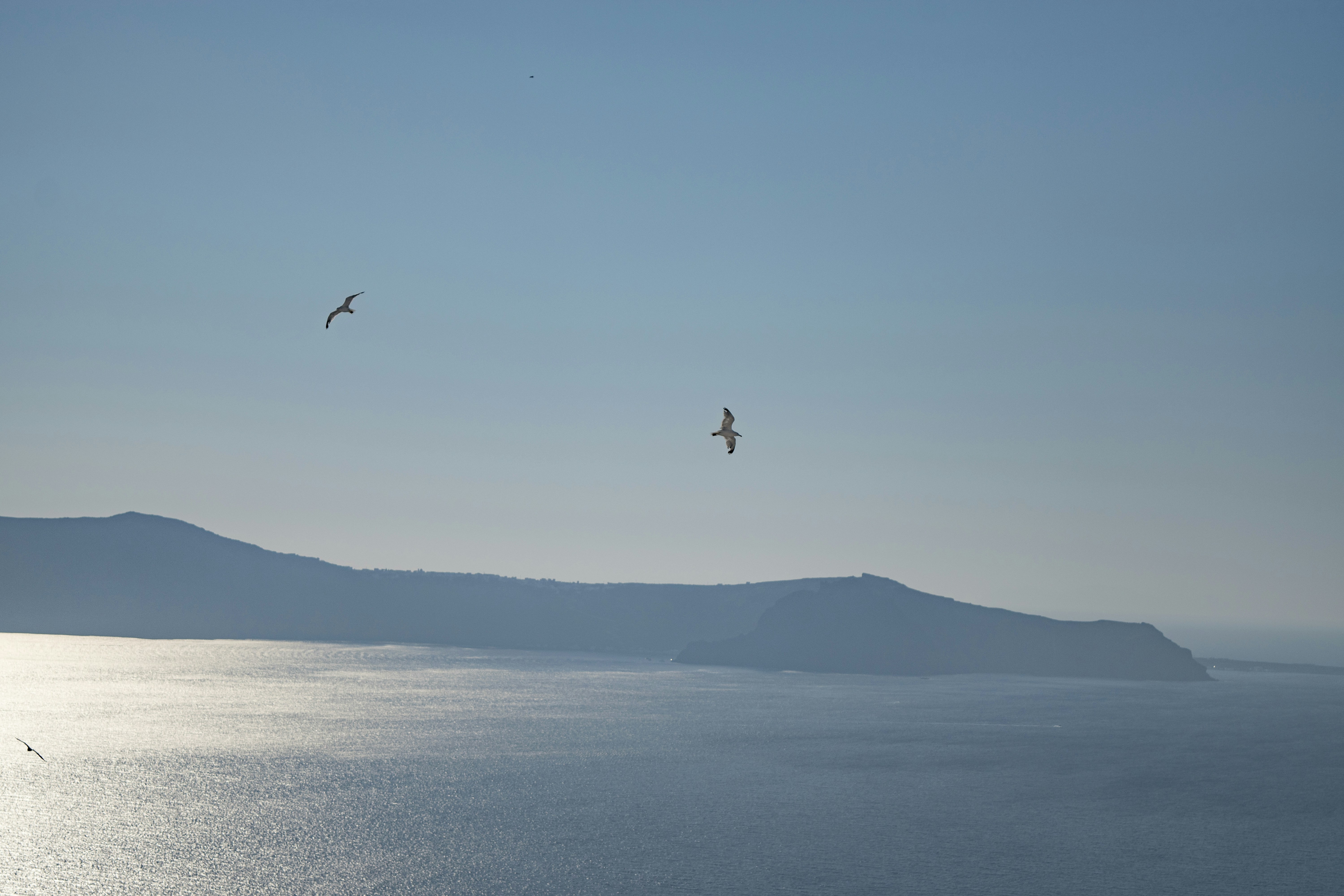 Seabreeze Over the Quiet Crest