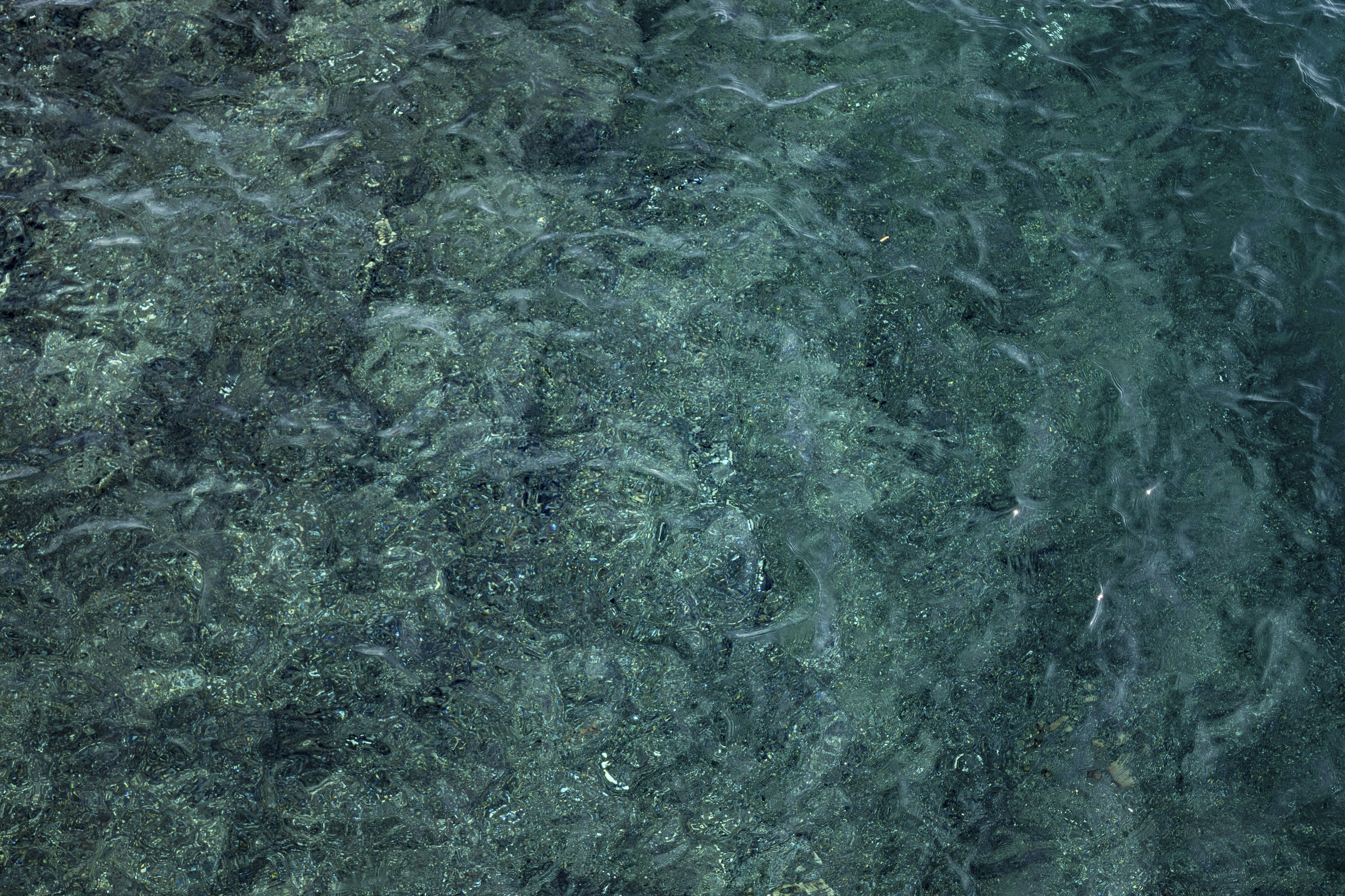 Teal Ripples: A Quiet Surface of Oceanic Depths