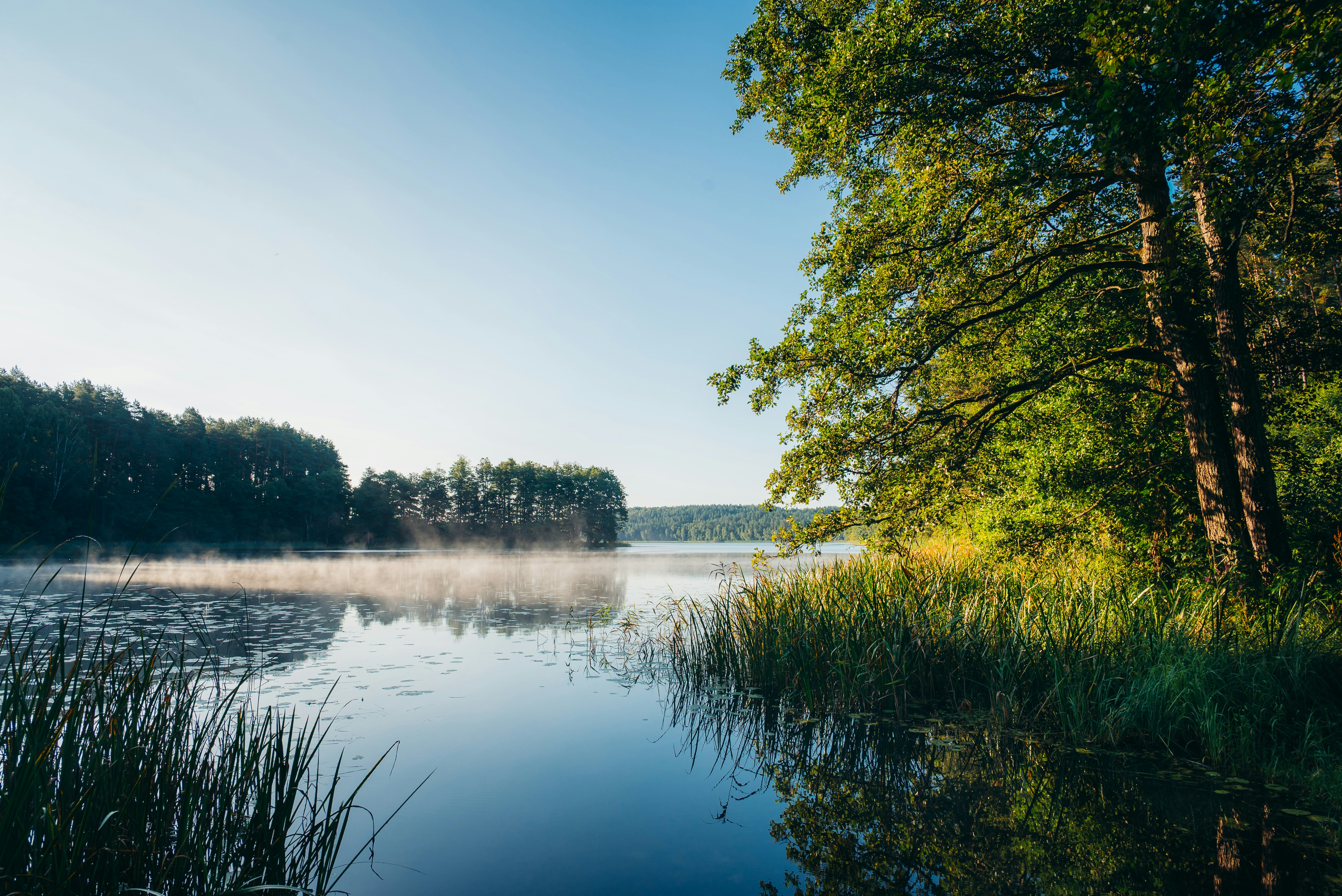 Quiet Lake Edge: Morning Mist Draped Over Still Waters